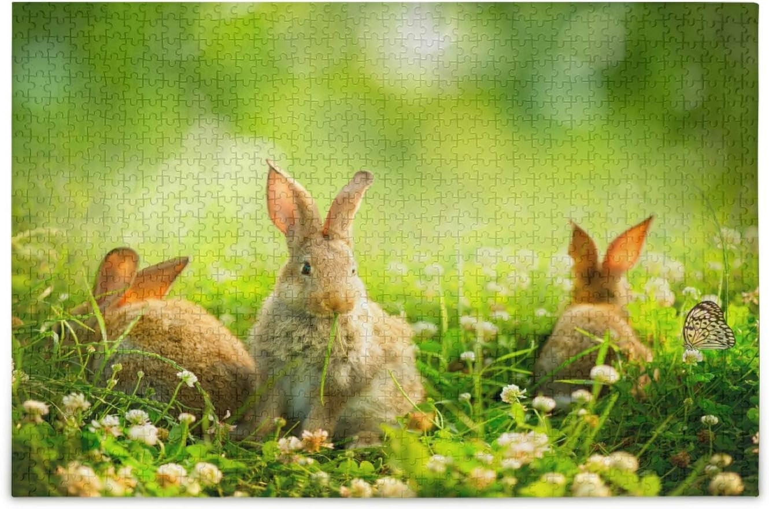 Dreamtimes Cute Little Easter Bunny Puzzle for Adults 500 Piece Puzzles ...