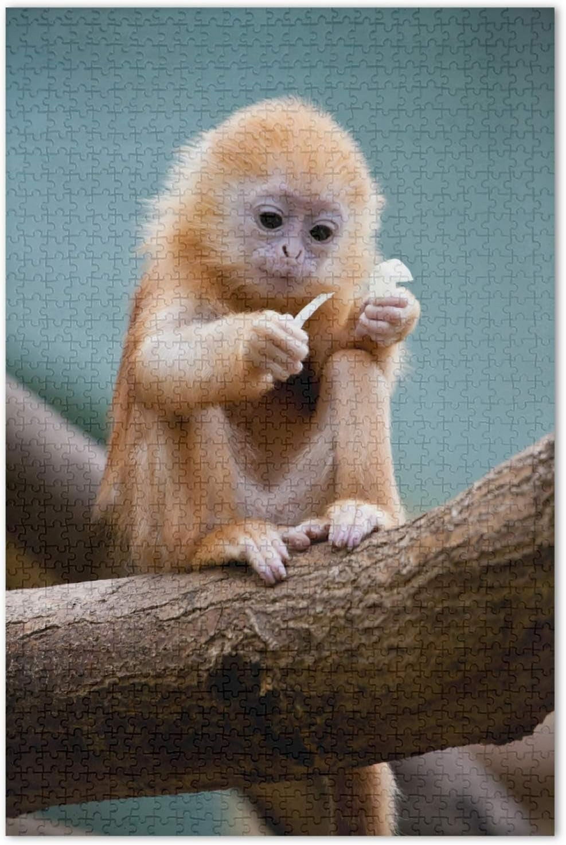 Dreamtimes Cute Little Monkey Baby Animal Jigsaw Puzzles for Adults 500 ...