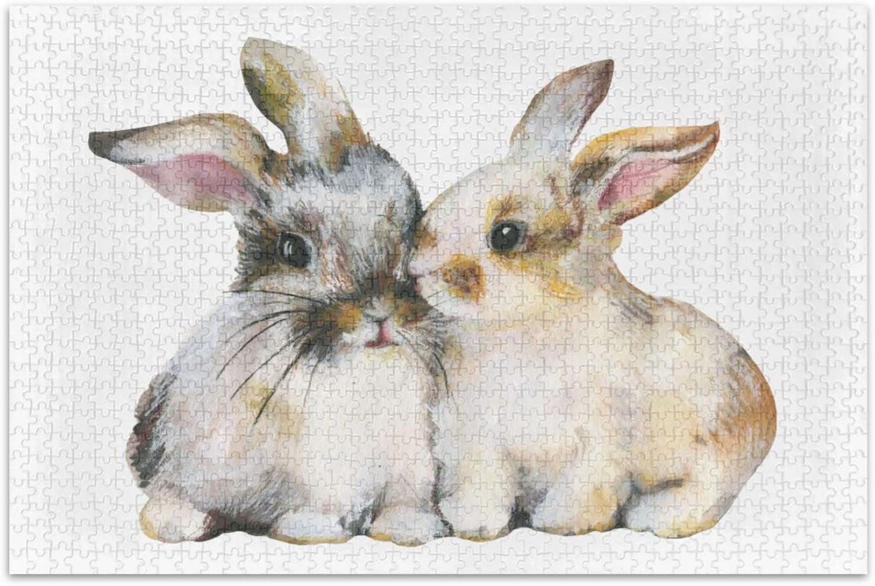 Dreamtimes Cute Pair of Rabbits 500 Pcs of Irregular Puzzle in a Box ...