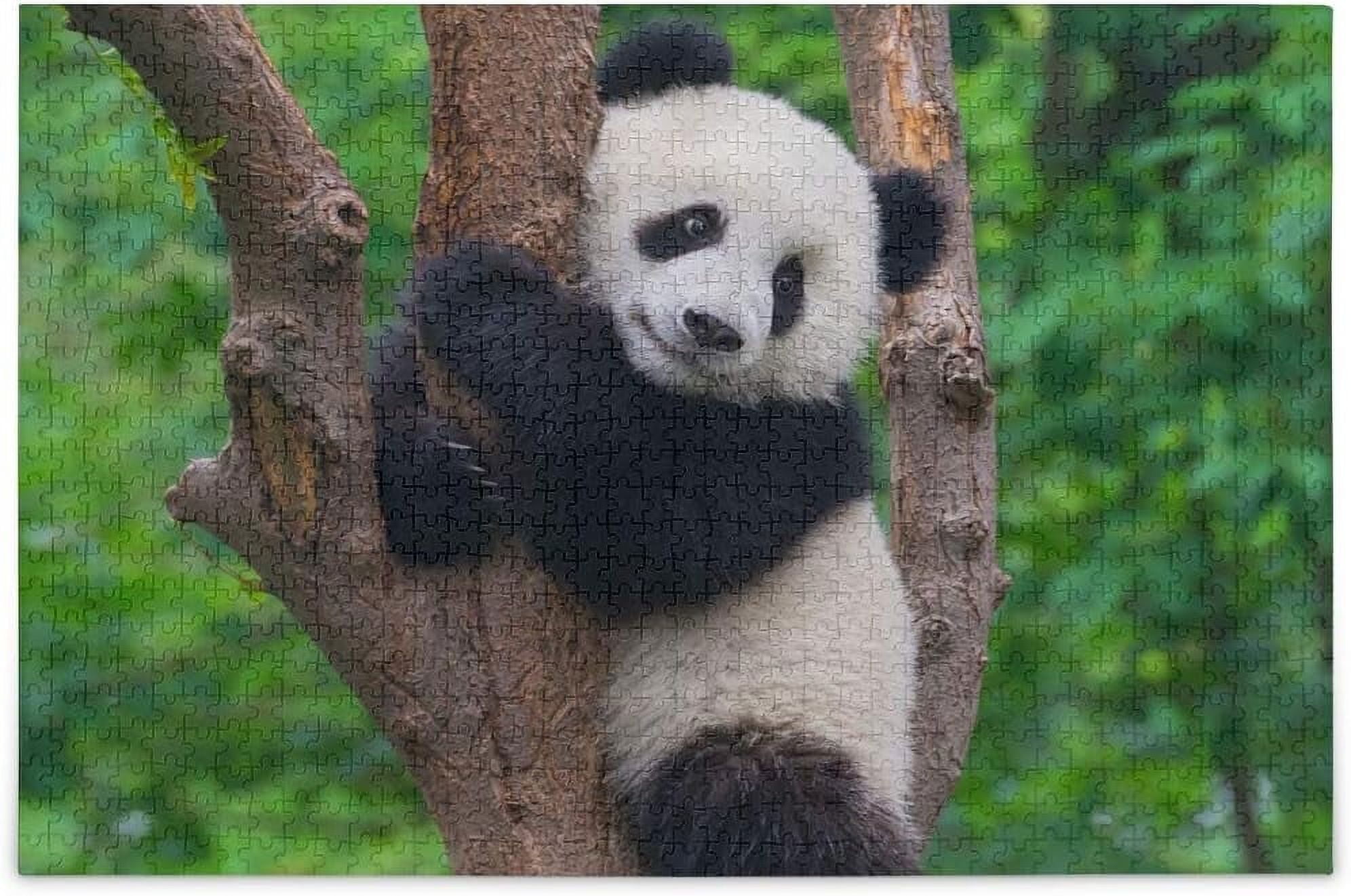 Dreamtimes Cute Panda Bear On Tree Green Jungle Forest Jigsaw Puzzles ...