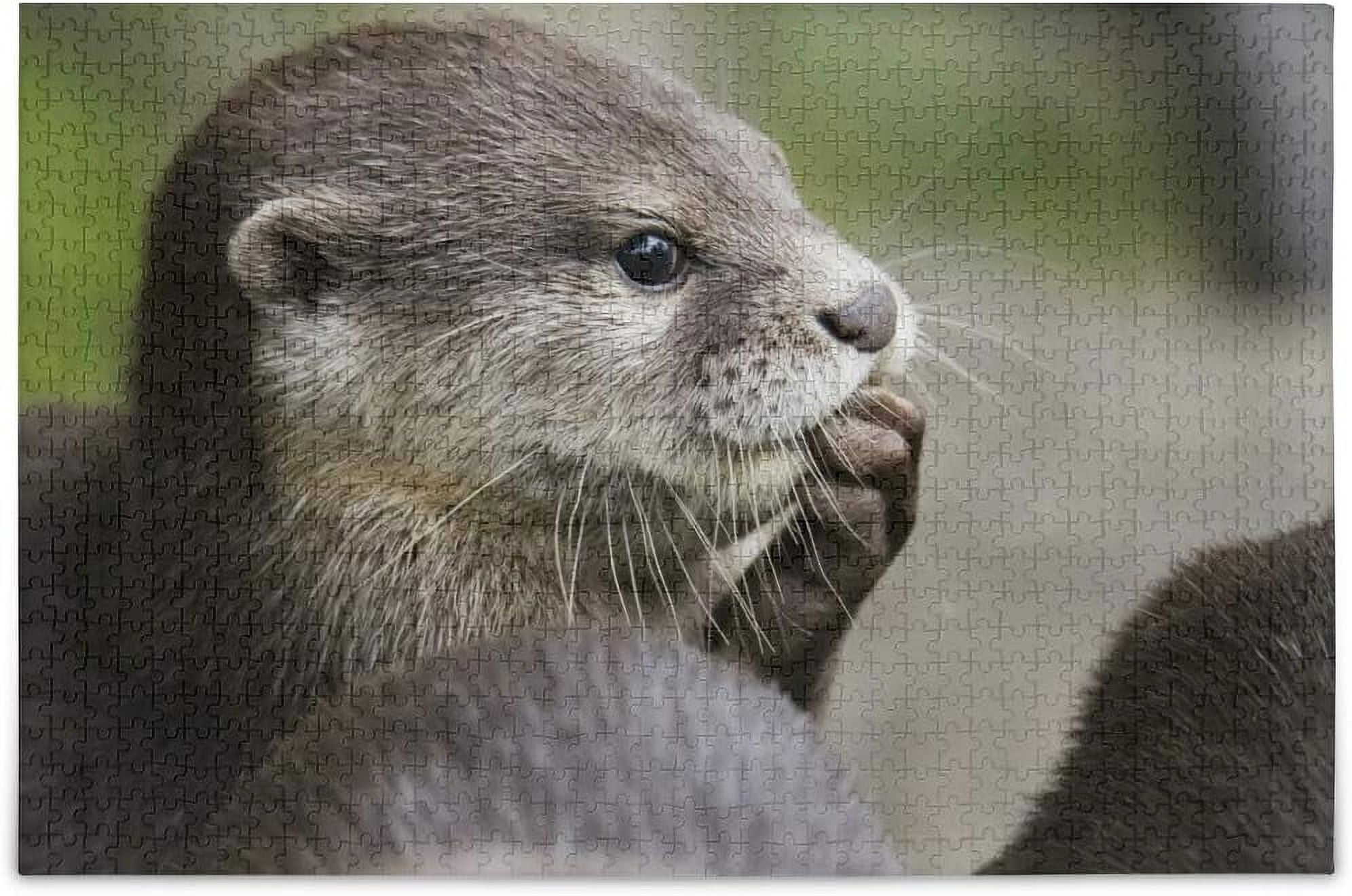 Dreamtimes Cute Sea Otter Baby with Funny Face Jigsaw Puzzles 500 ...