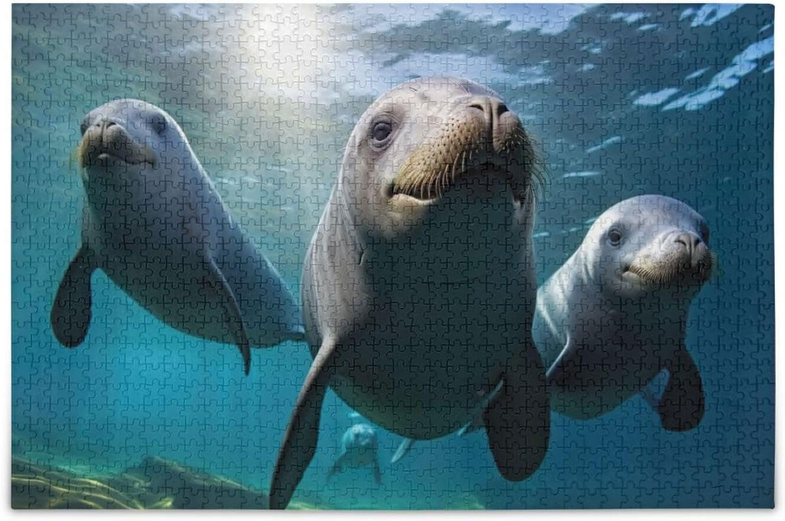 Dreamtimes Cute Seals Puzzle 1000 Pieces - Wooden Jigsaw Puzzles for ...