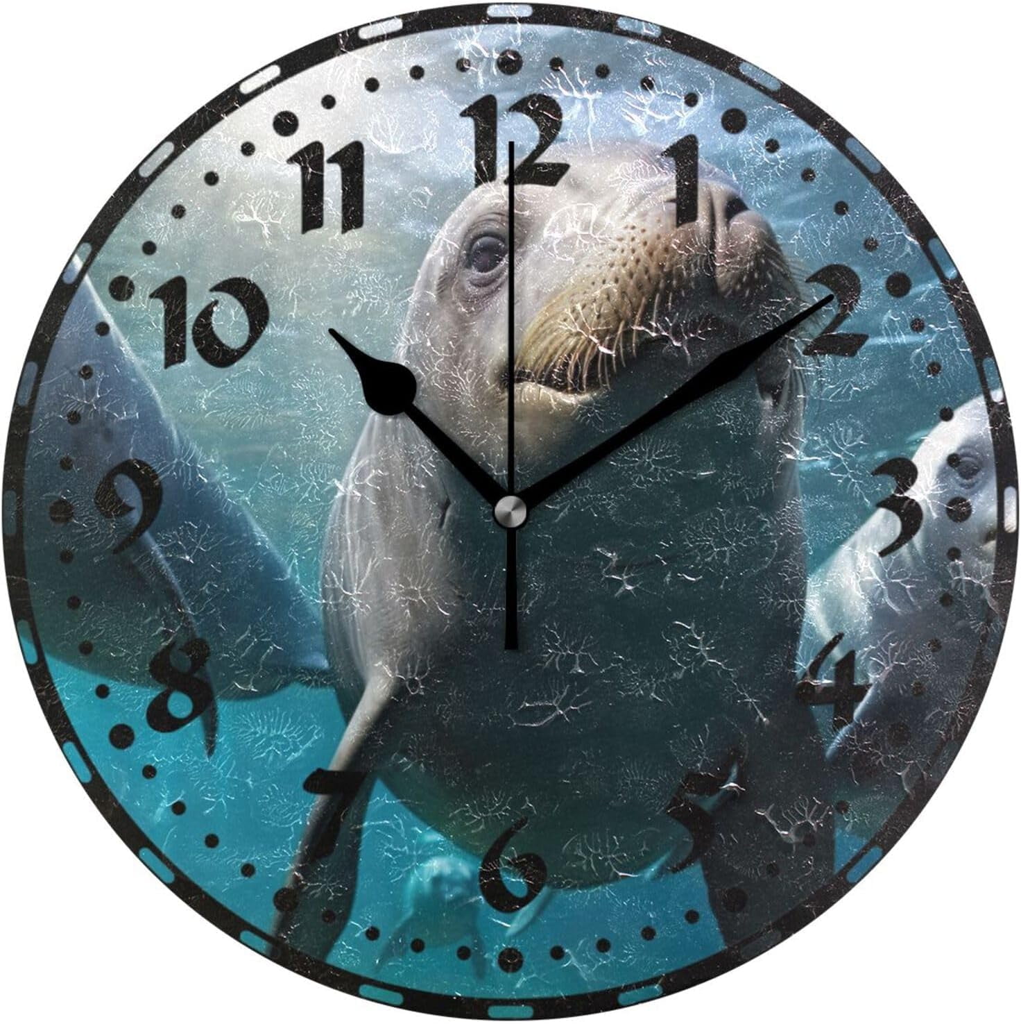 Dreamtimes Cute Seals Wall Clock, Silent Non Ticking 10 Inch Battery ...