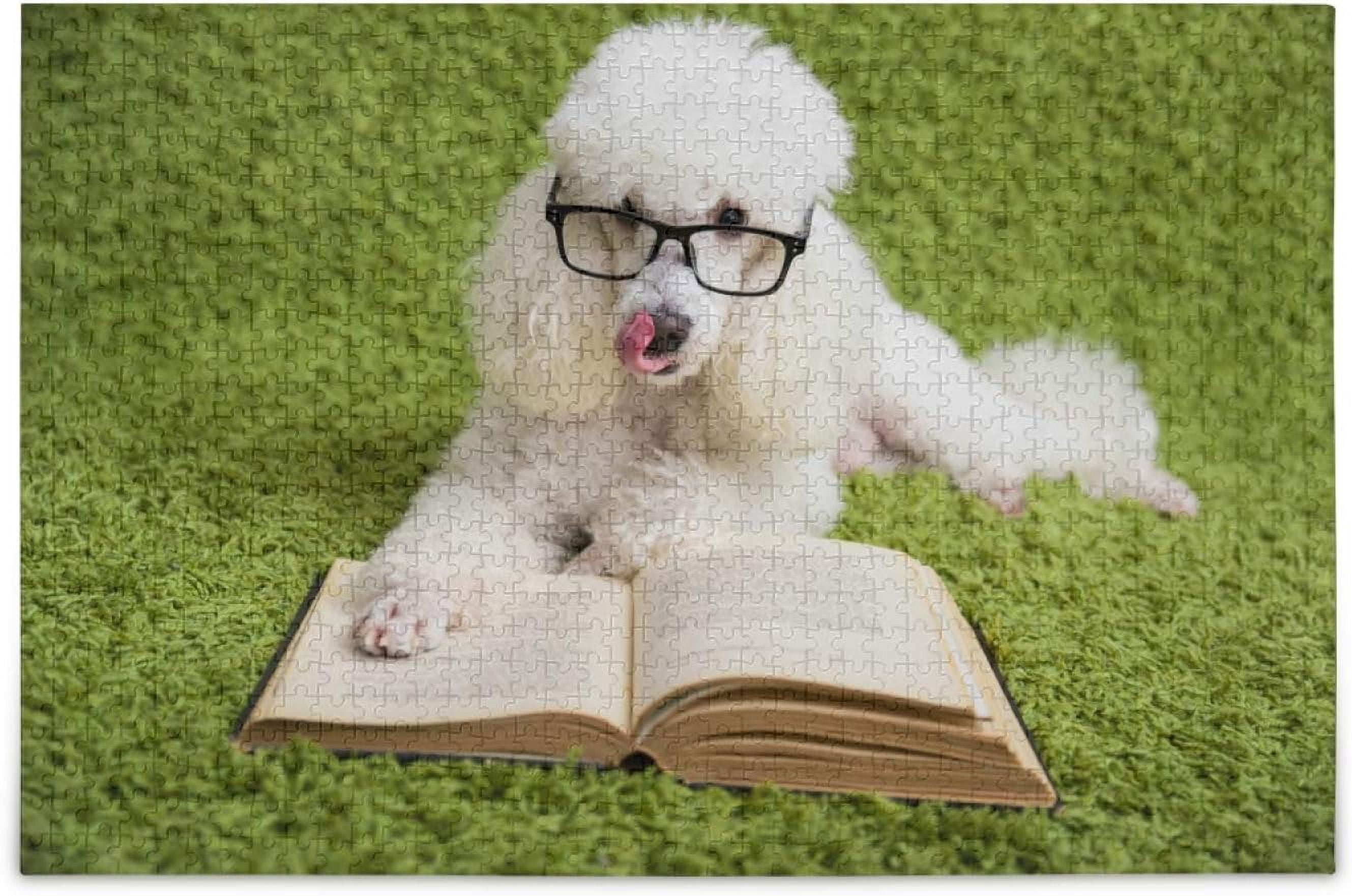Dreamtimes Cute White Dog Read Book Puzzle for Adults 1000 Piece ...