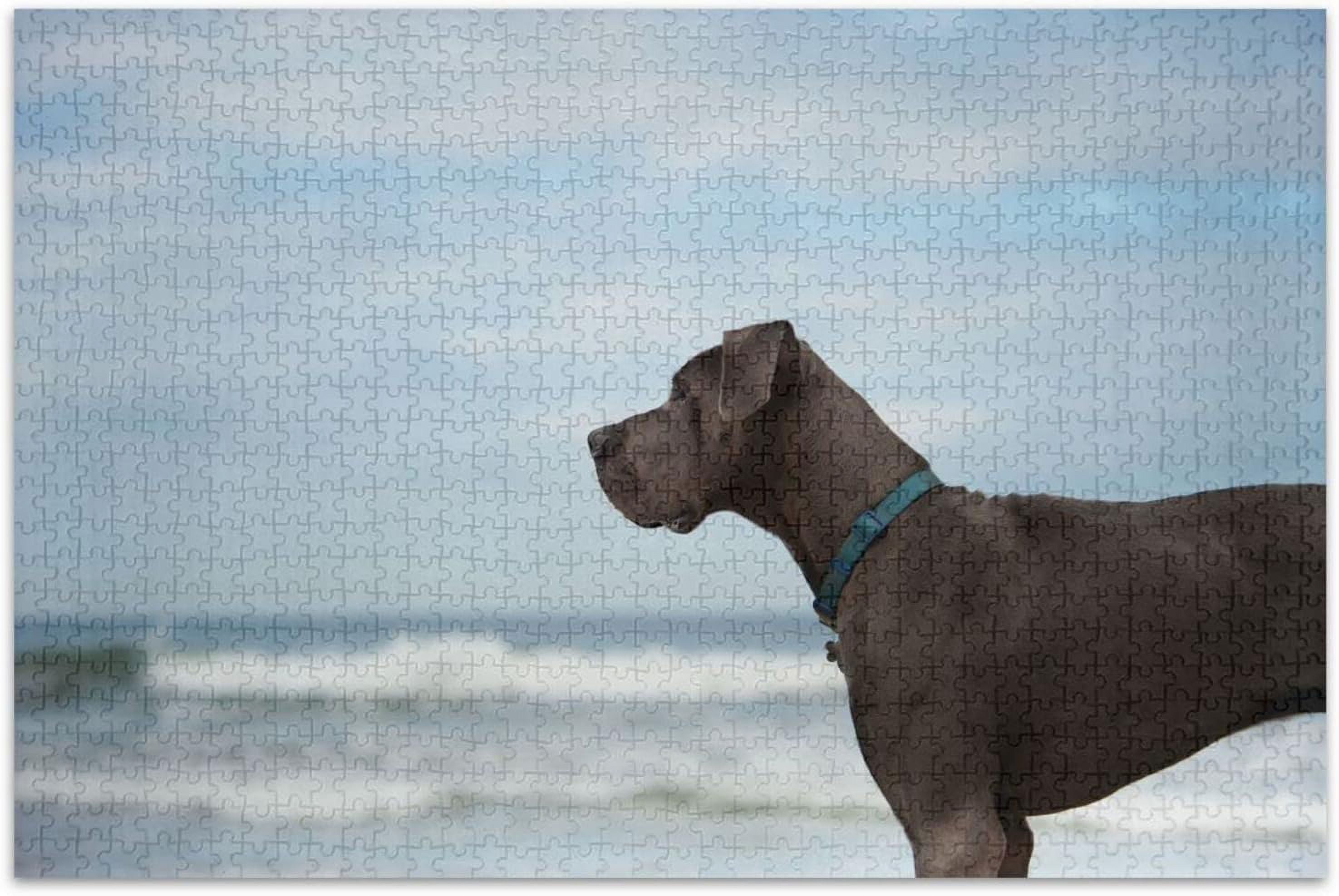 Dreamtimes Dog with Ocean Waves 1000 Piece Jigsaw Puzzle, Wall Artwork ...
