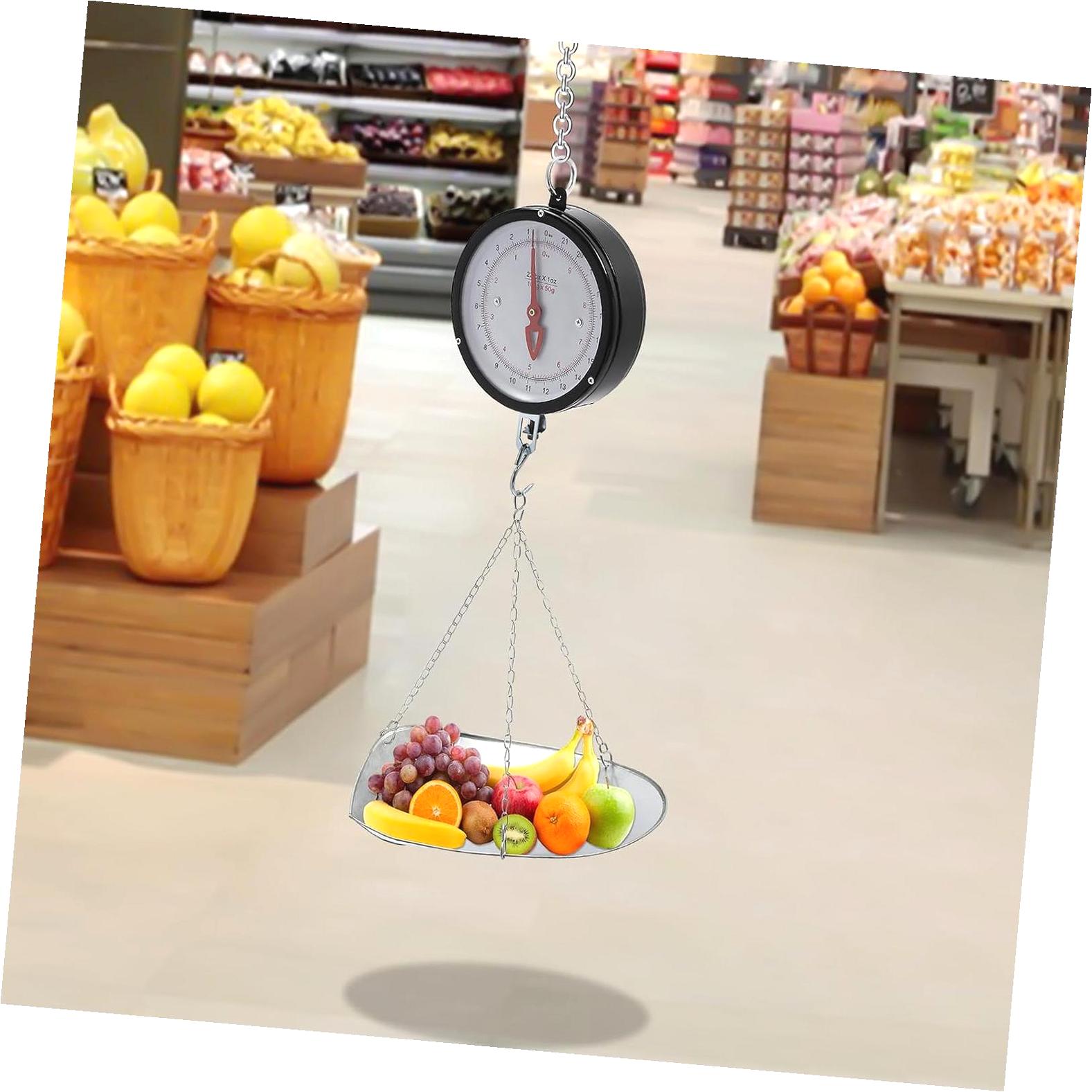 Dreamtimes Dual-Face Hanging Scale, Manual Hanging Scale Capacity 10 kg ...