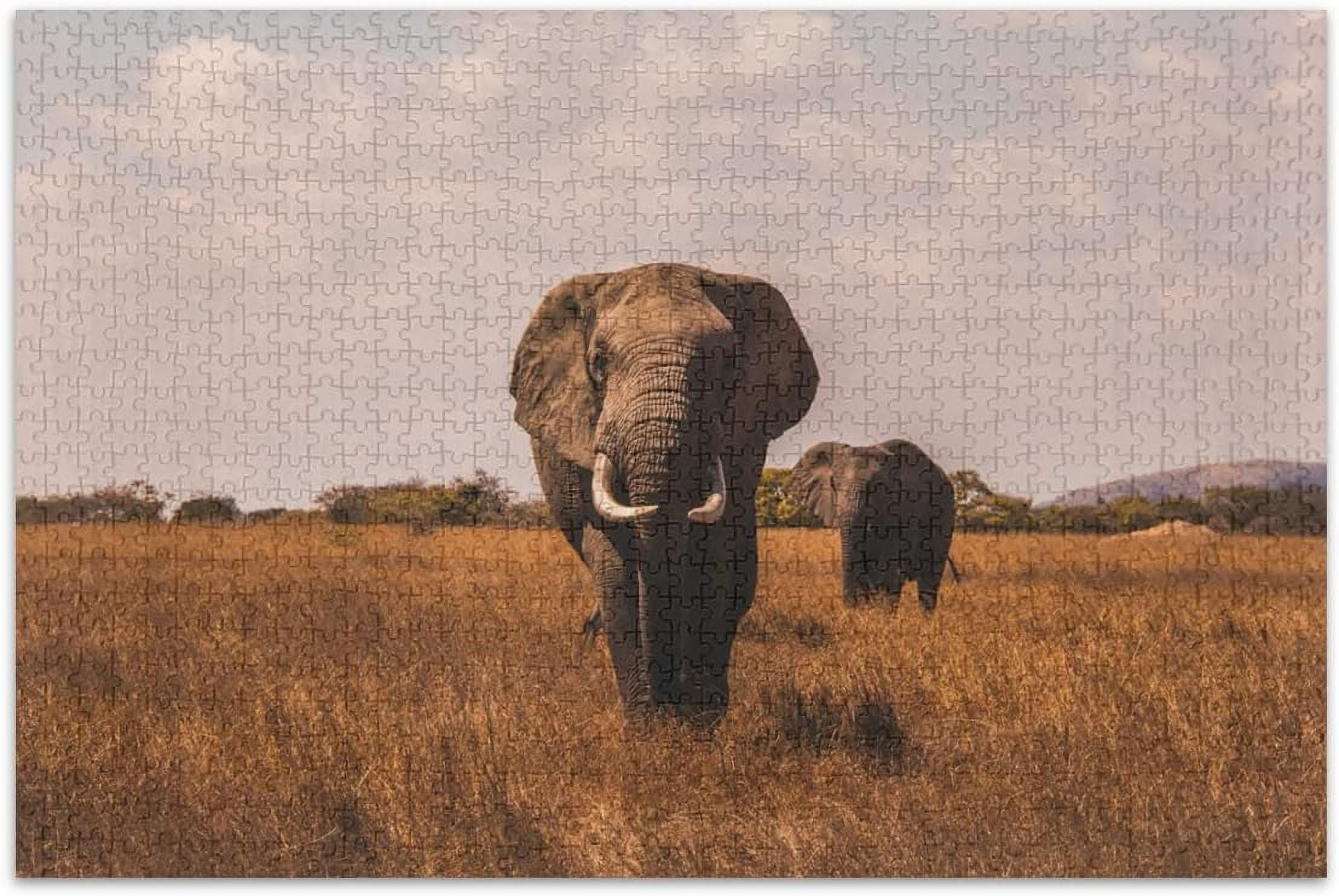 Dreamtimes Elephant Jigsaw Puzzles 1000 Piece for Adults Large Puzzle ...