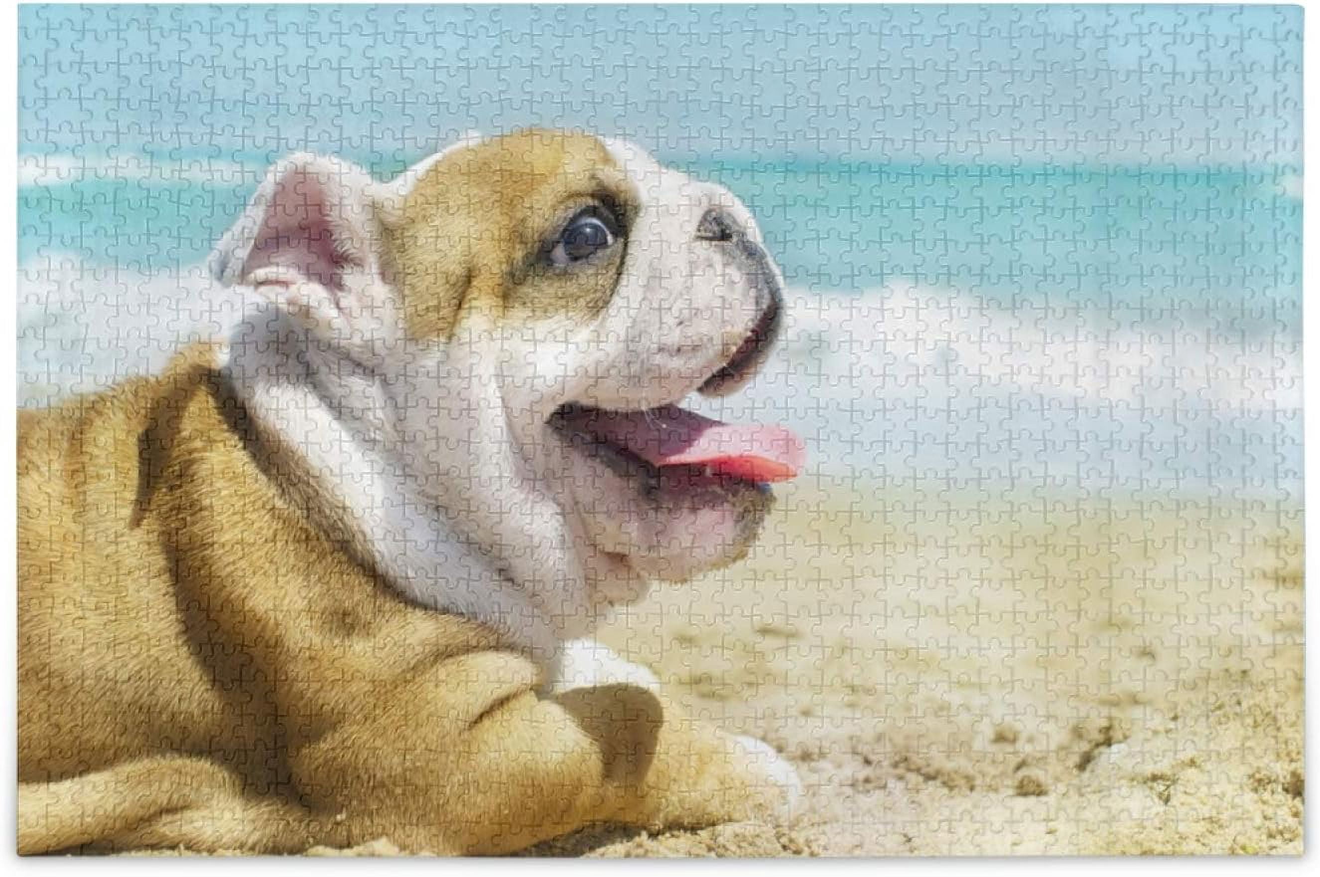 Dreamtimes English Bulldog Puppy On Beach Puzzle for Adults 500 Piece ...