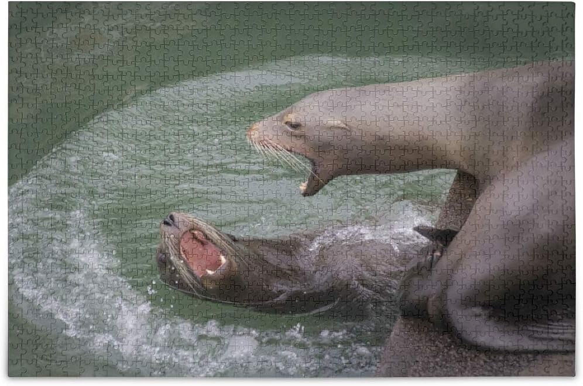 Dreamtimes Grumpy Sea Otter Fight On Boat Dock Jigsaw Puzzles 1000 ...