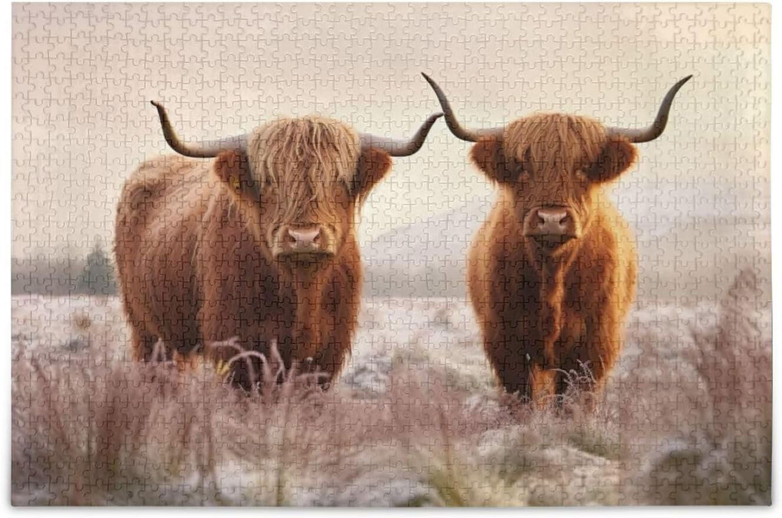 Dreamtimes Highland Cattle Puzzle 1000 Pieces - Wooden Jigsaw Puzzles ...