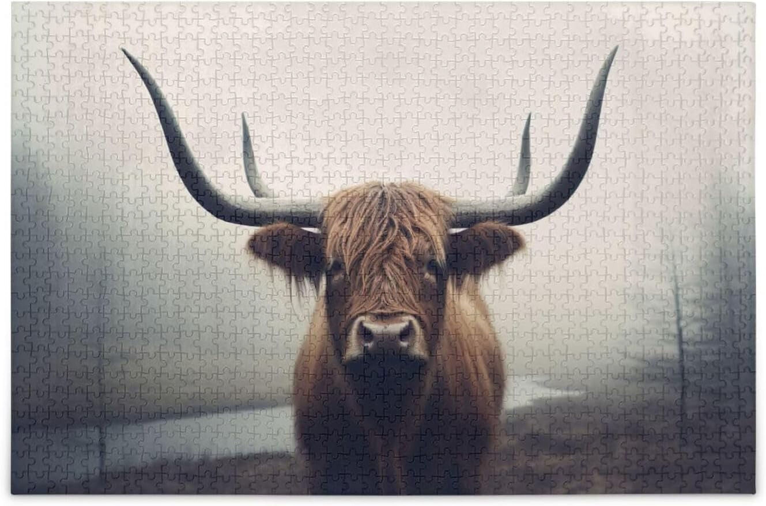 Dreamtimes Highland Cow Jigsaw Puzzle for Adults Teens Kids, 1000 ...