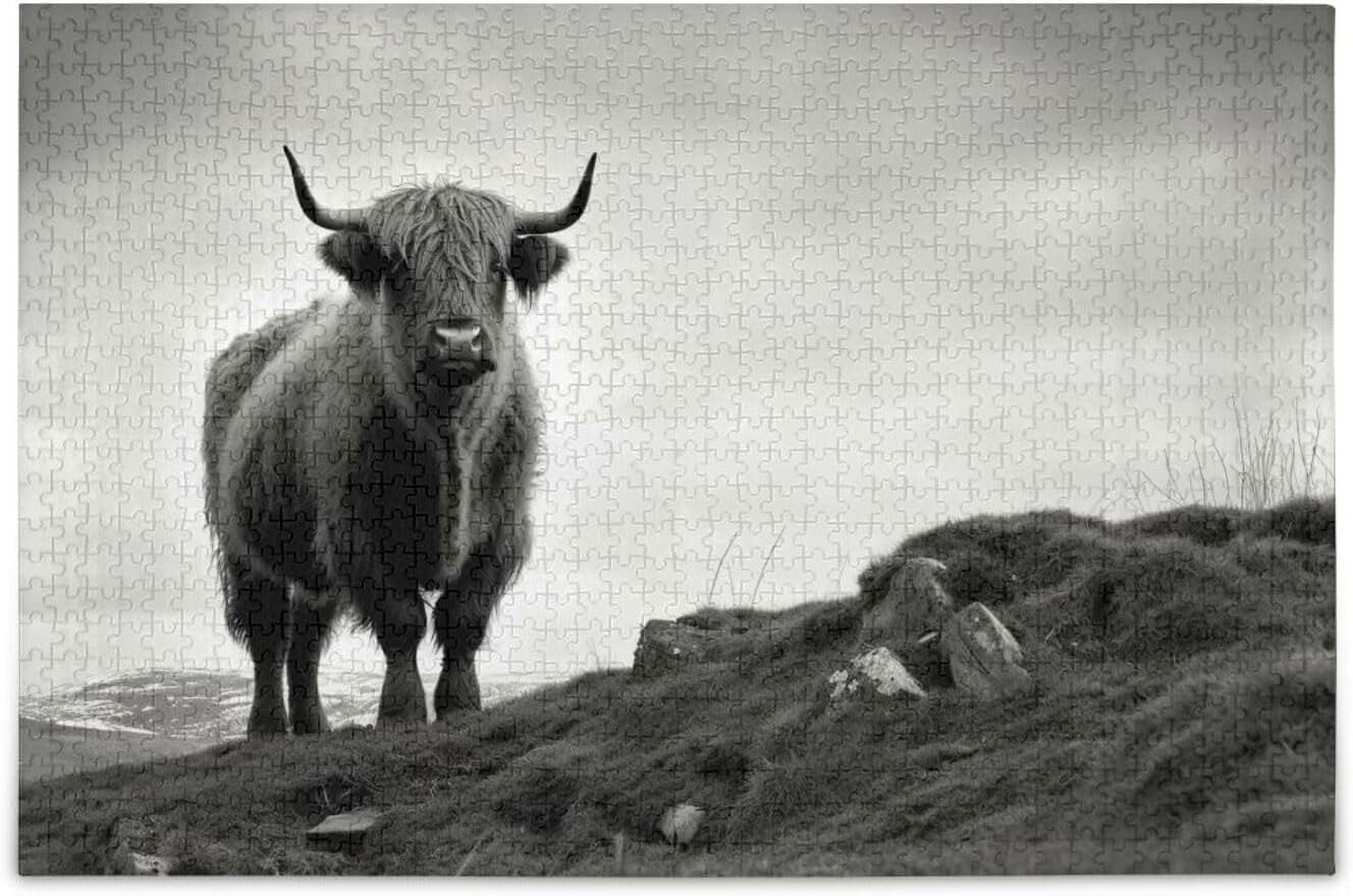 Dreamtimes Highland Cow Jigsaw Puzzles for Adults 500 Pieces ...