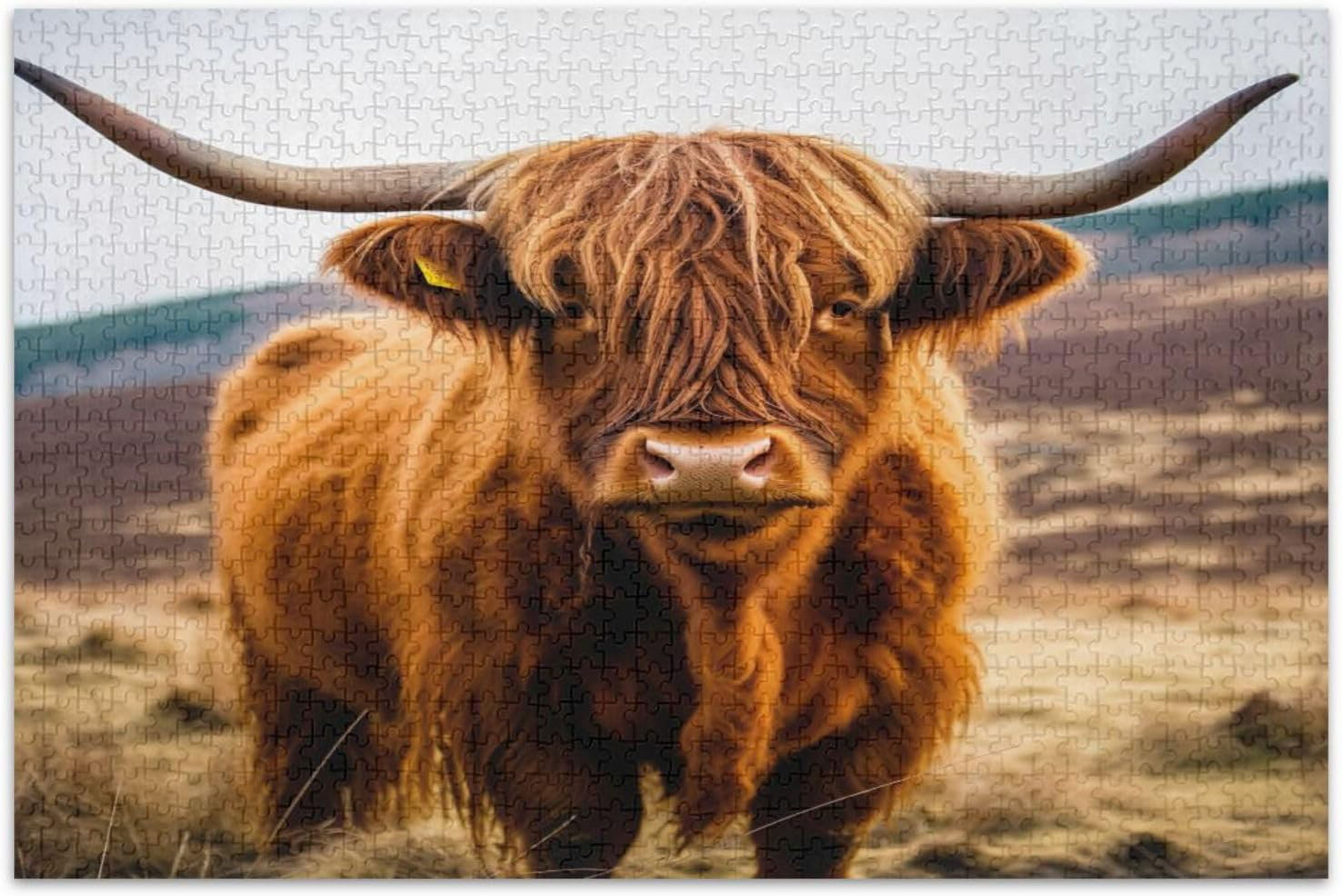 Dreamtimes Highland Cow Puzzles for Adults 500 Piece, Challenging Paper ...