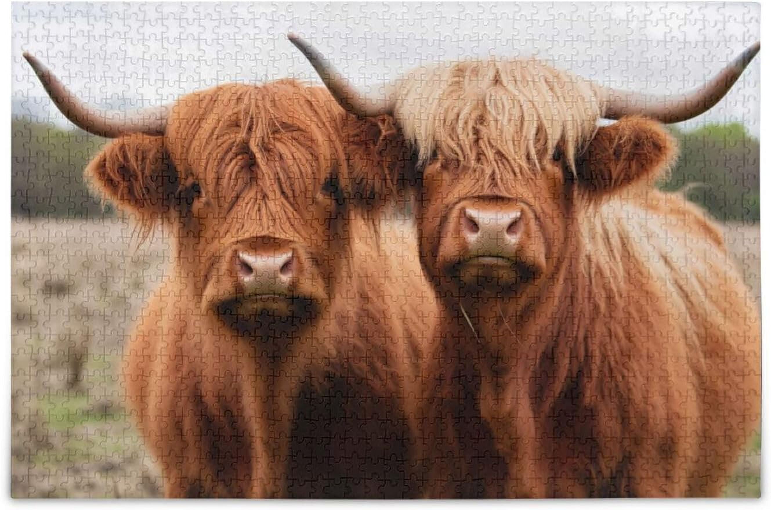 Dreamtimes Highland Cows Jigsaw Puzzles, Puzzles for Adults 500 Pieces ...
