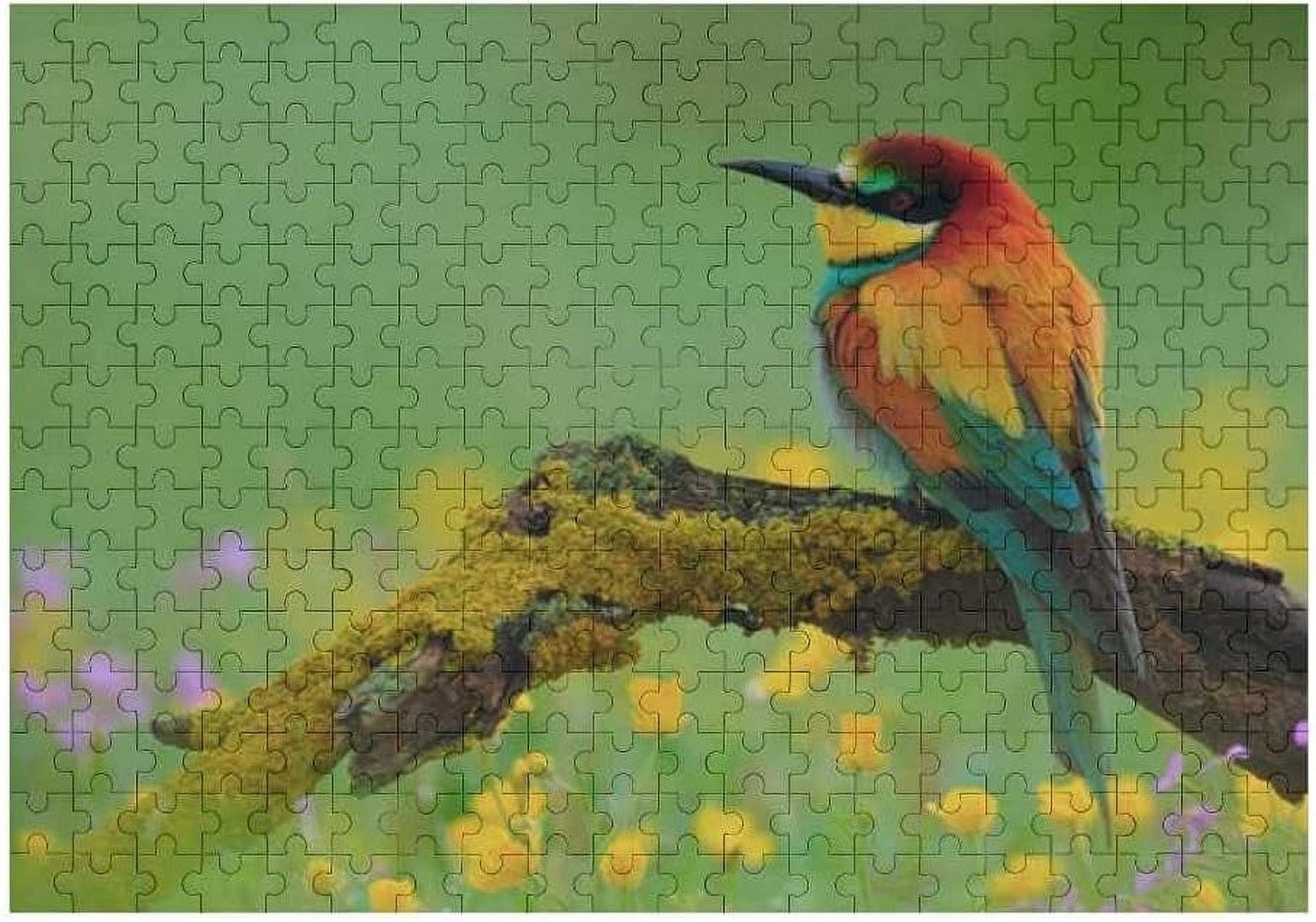 Dreamtimes Jigsaw Puzzles Artwork Gift for Adults Teens Beautiful Bird ...