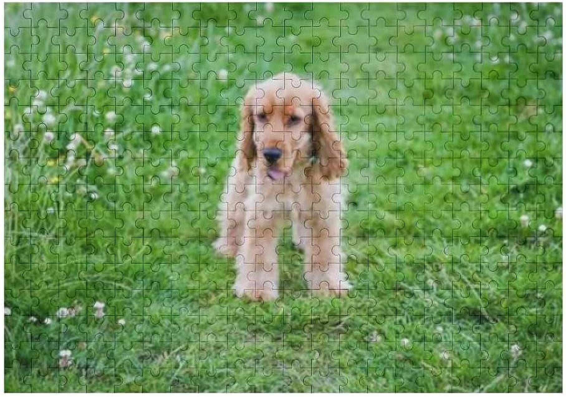Dreamtimes Jigsaw Puzzles Artwork Gift for Adults Teens Cocker Spaniel ...