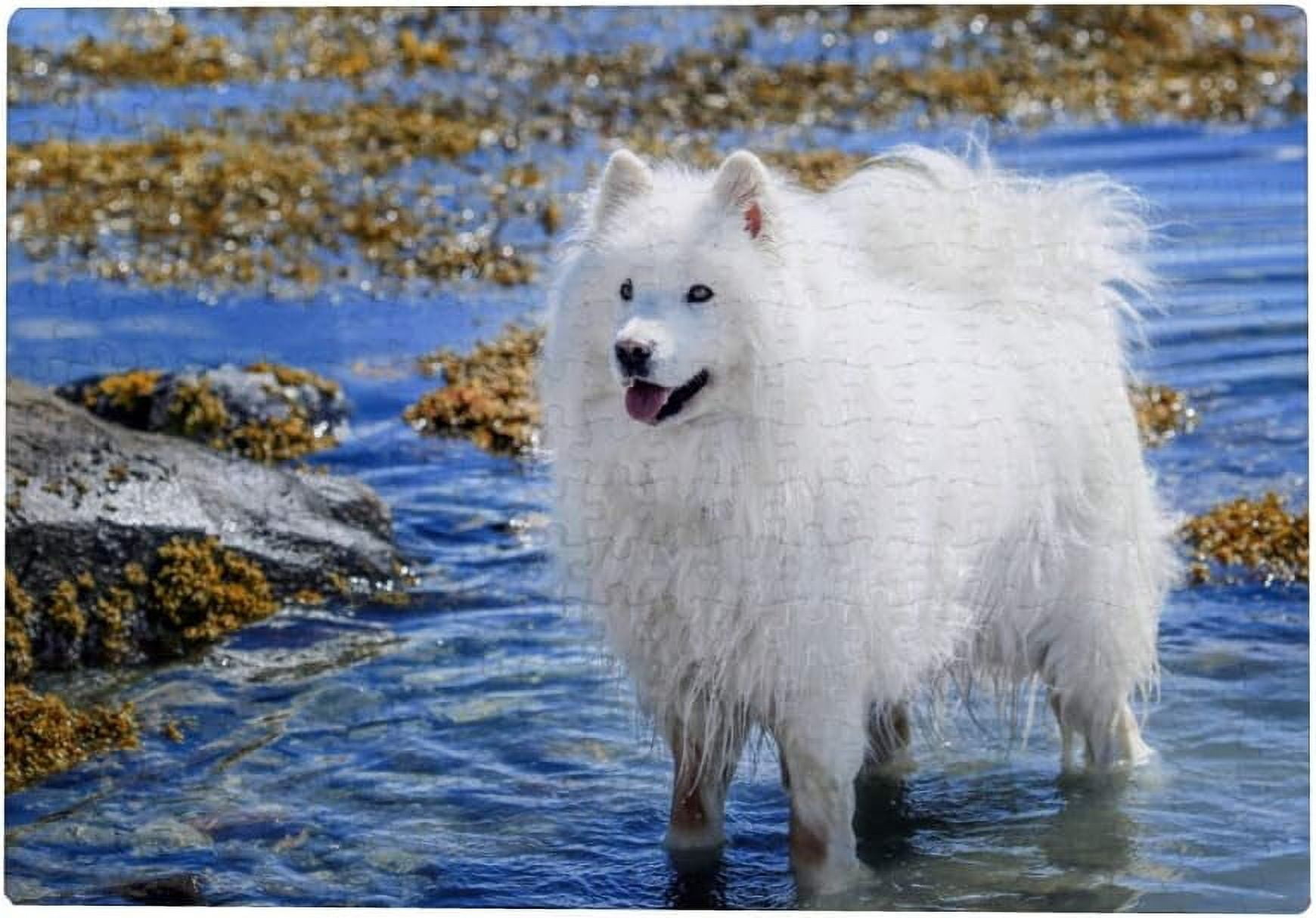 Dreamtimes Jigsaw Puzzles Artwork Gift for Adults Teens Smiling White ...