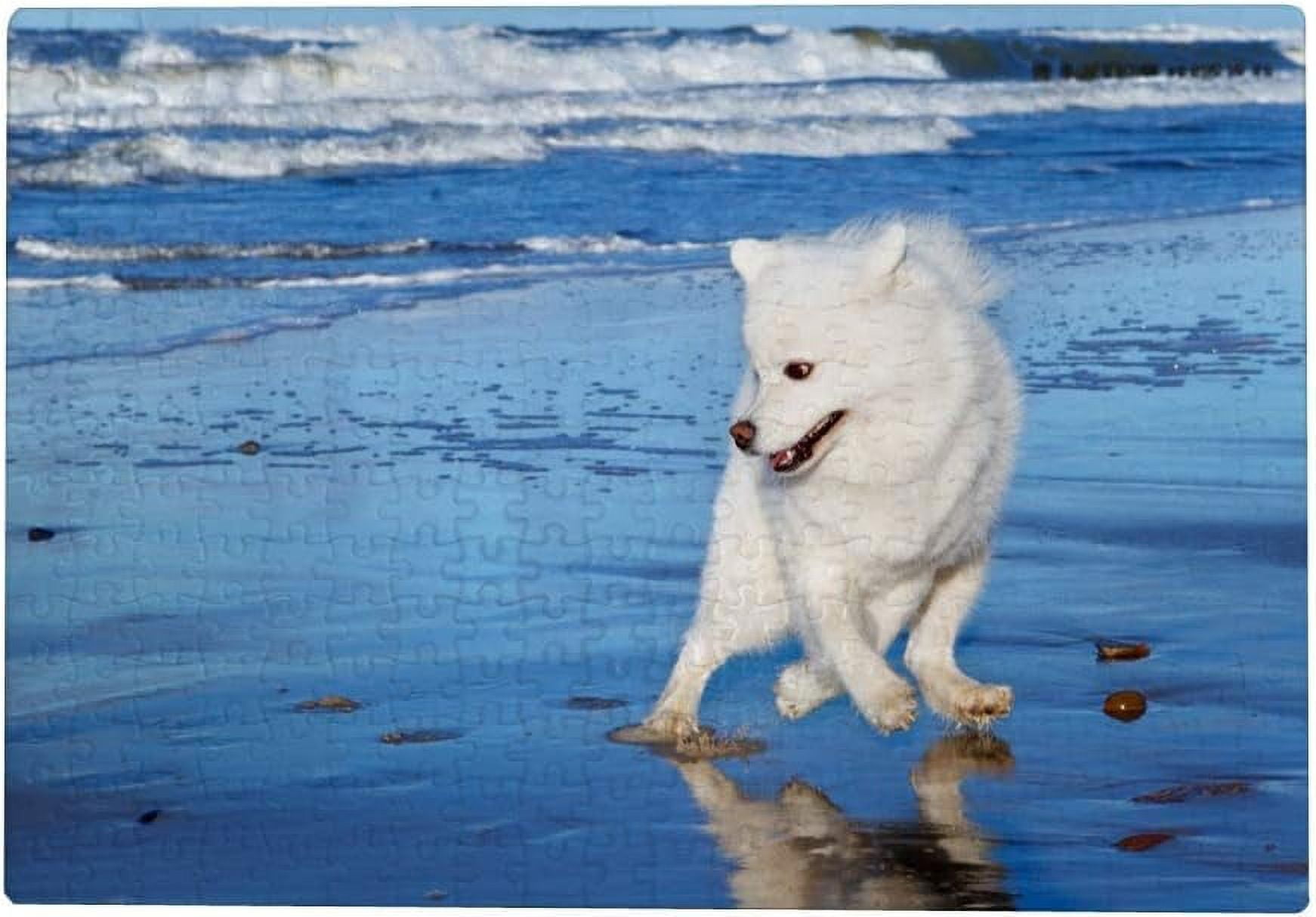 Dreamtimes Jigsaw Puzzles Artwork Gift for Adults Teens White Dog ...