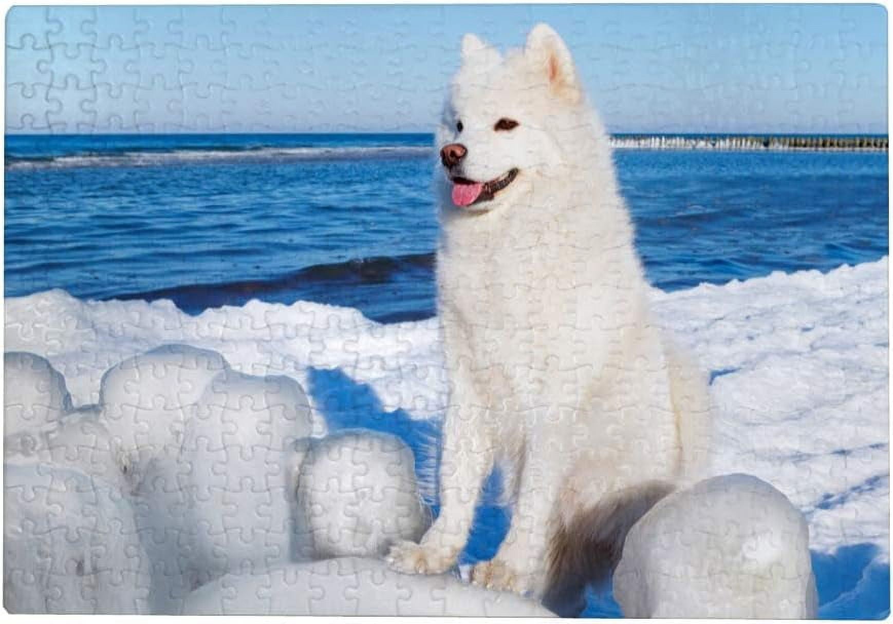 Dreamtimes Jigsaw Puzzles Artwork Gift for Adults Teens White Samoyed ...