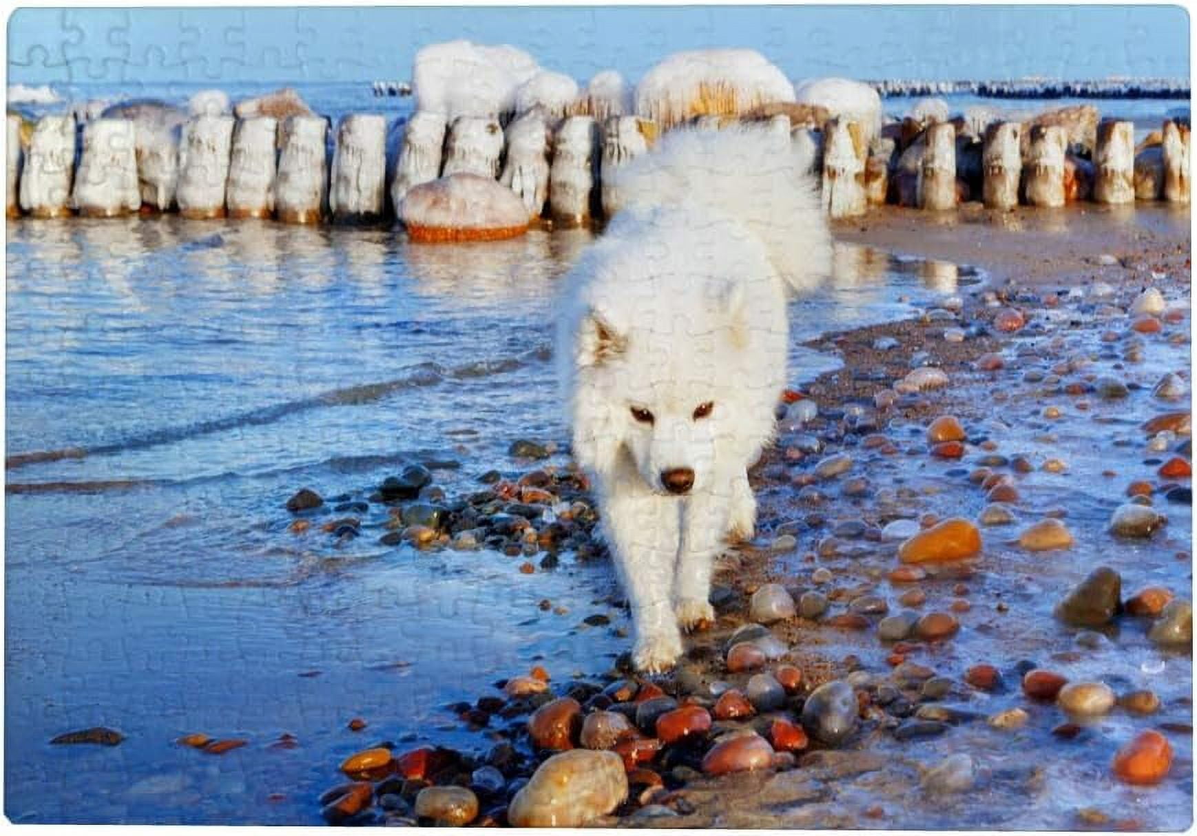 Dreamtimes Jigsaw Puzzles Artwork Gift for Adults Teens White Samoyed ...