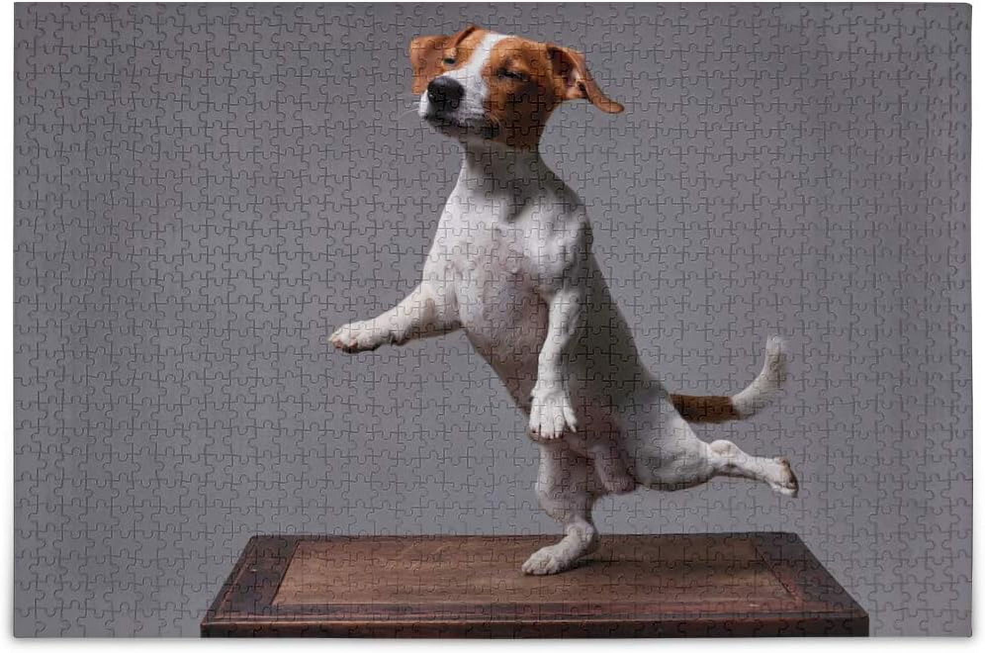 Dreamtimes Jigsaw Puzzles for Adults 1000 Pieces Yoga Dog Jack Russell ...