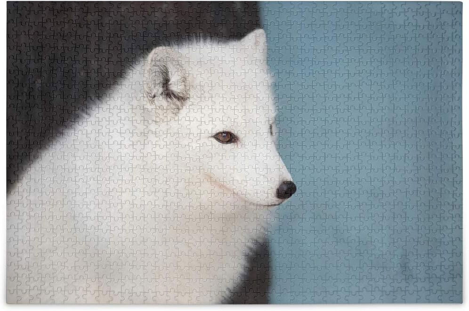 Dreamtimes Jigsaw Puzzles for Adults 500 Pieces White Arctic Polar Fox ...