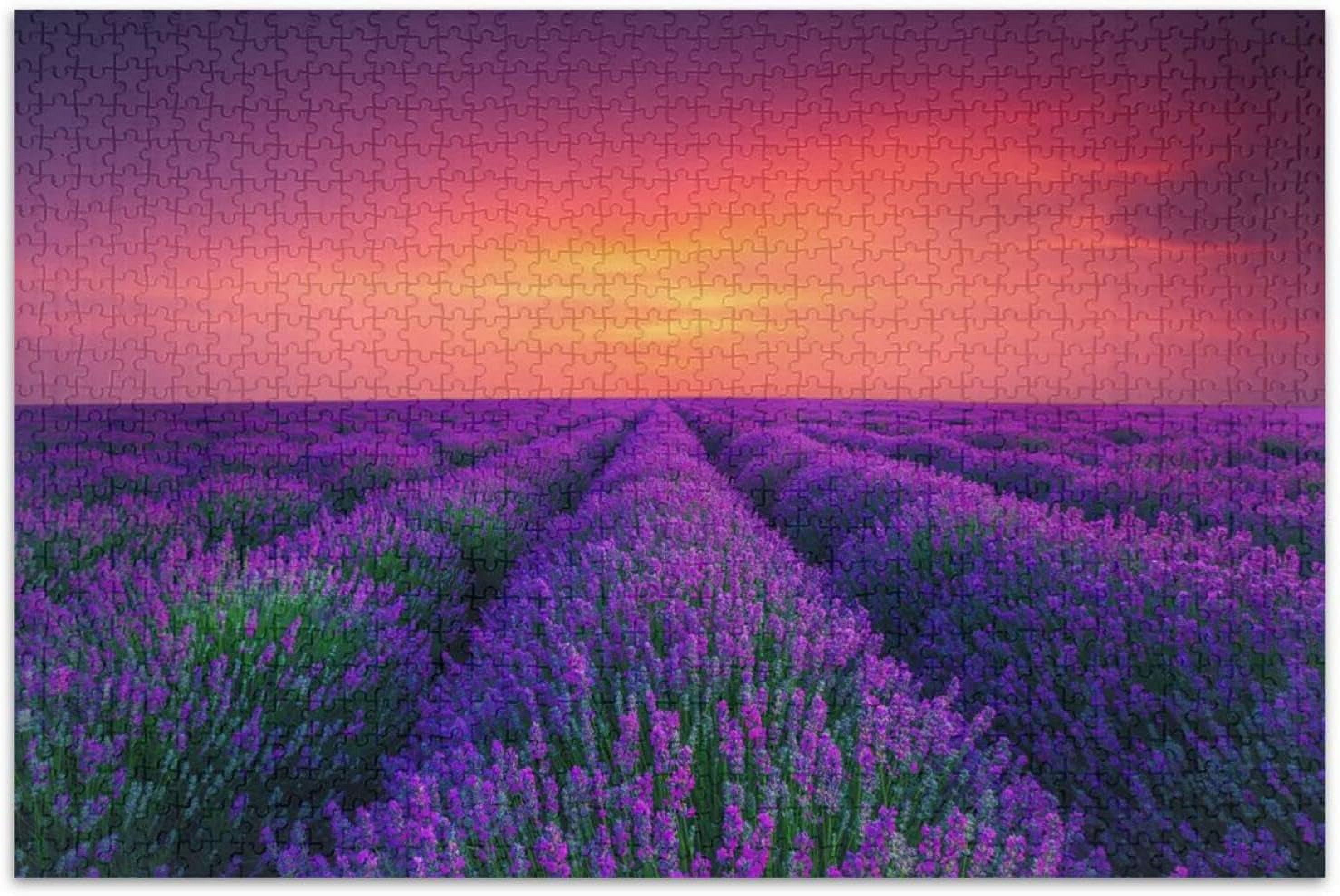 Dreamtimes Lavender Flower Fields 1000 Pcs of Irregular Puzzle in a Box ...
