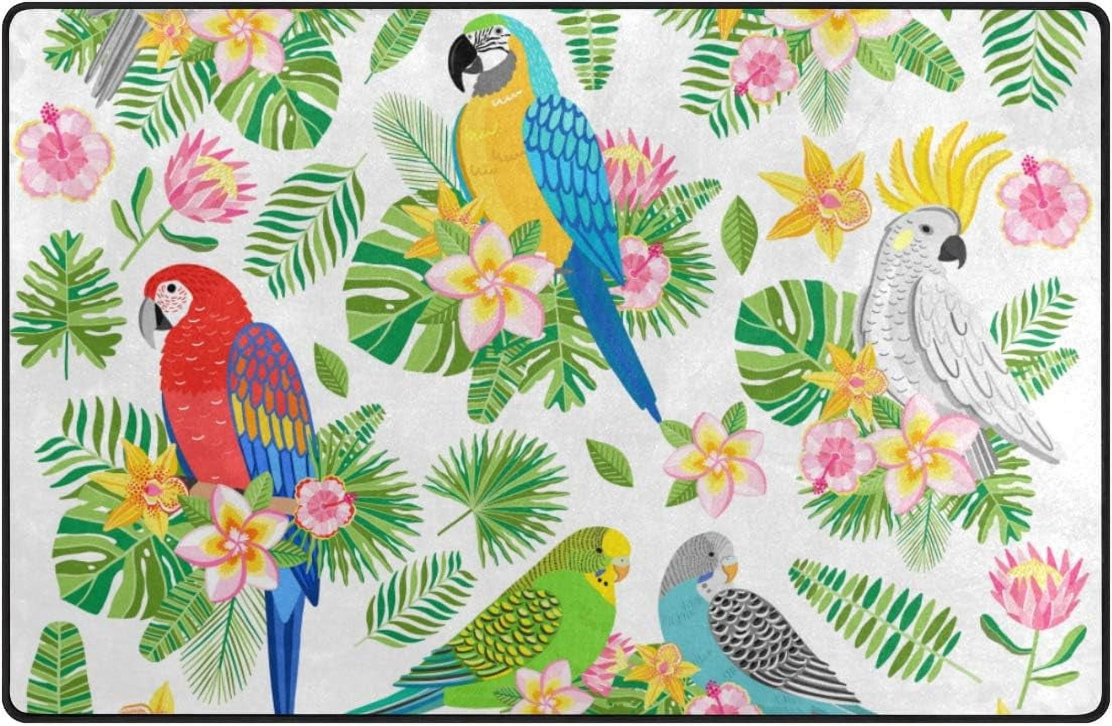 Dreamtimes Lightweight Soft Area Rugs 31x20 Inch, Beautiful Parrot ...