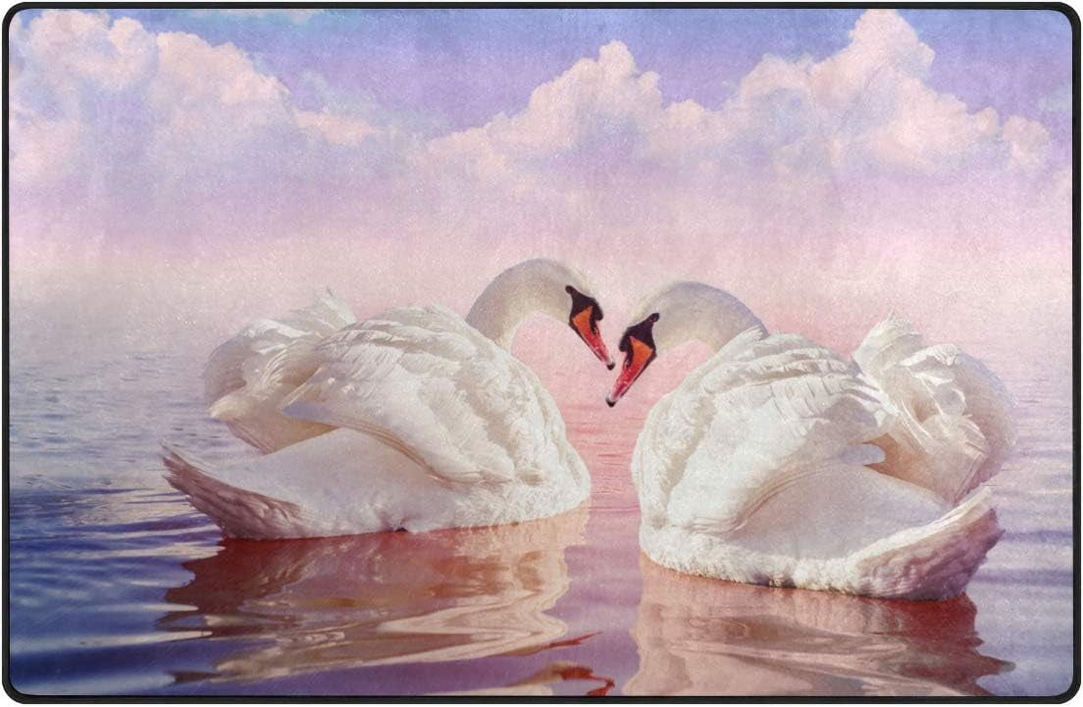 Dreamtimes Lightweight Soft Area Rugs 31x20 Inch, Couple of Beautiful ...