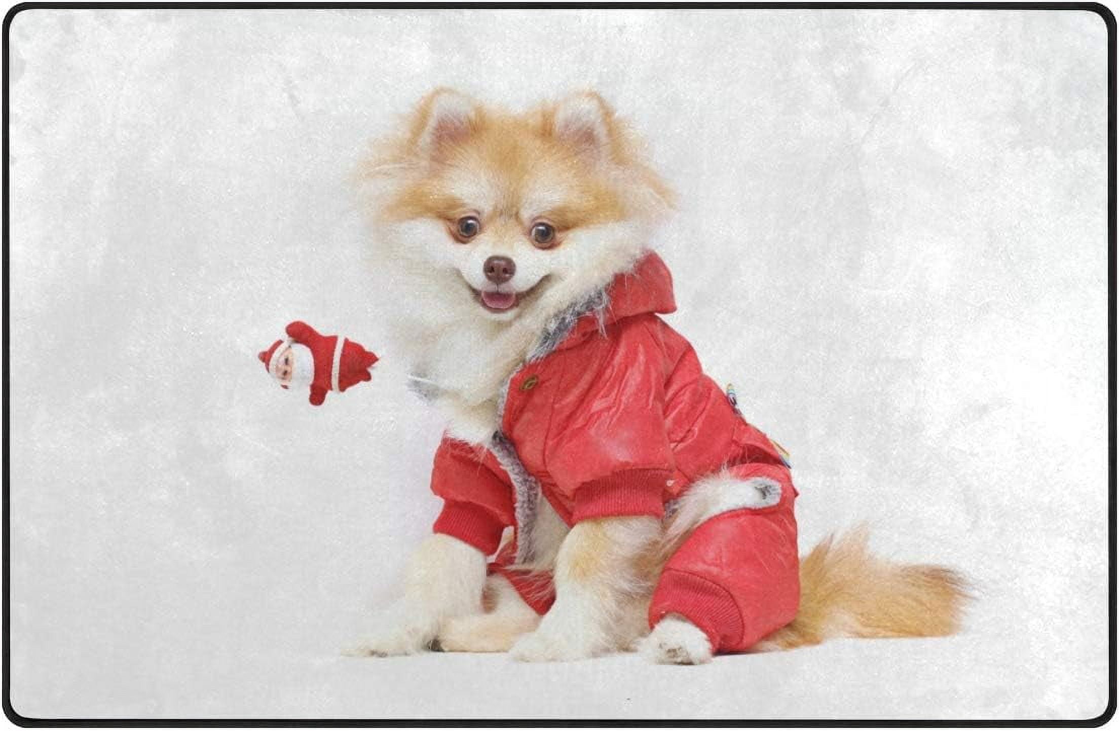 Dreamtimes Lightweight Soft Area Rugs 31x20 Inch, Dog in A Red Costume ...