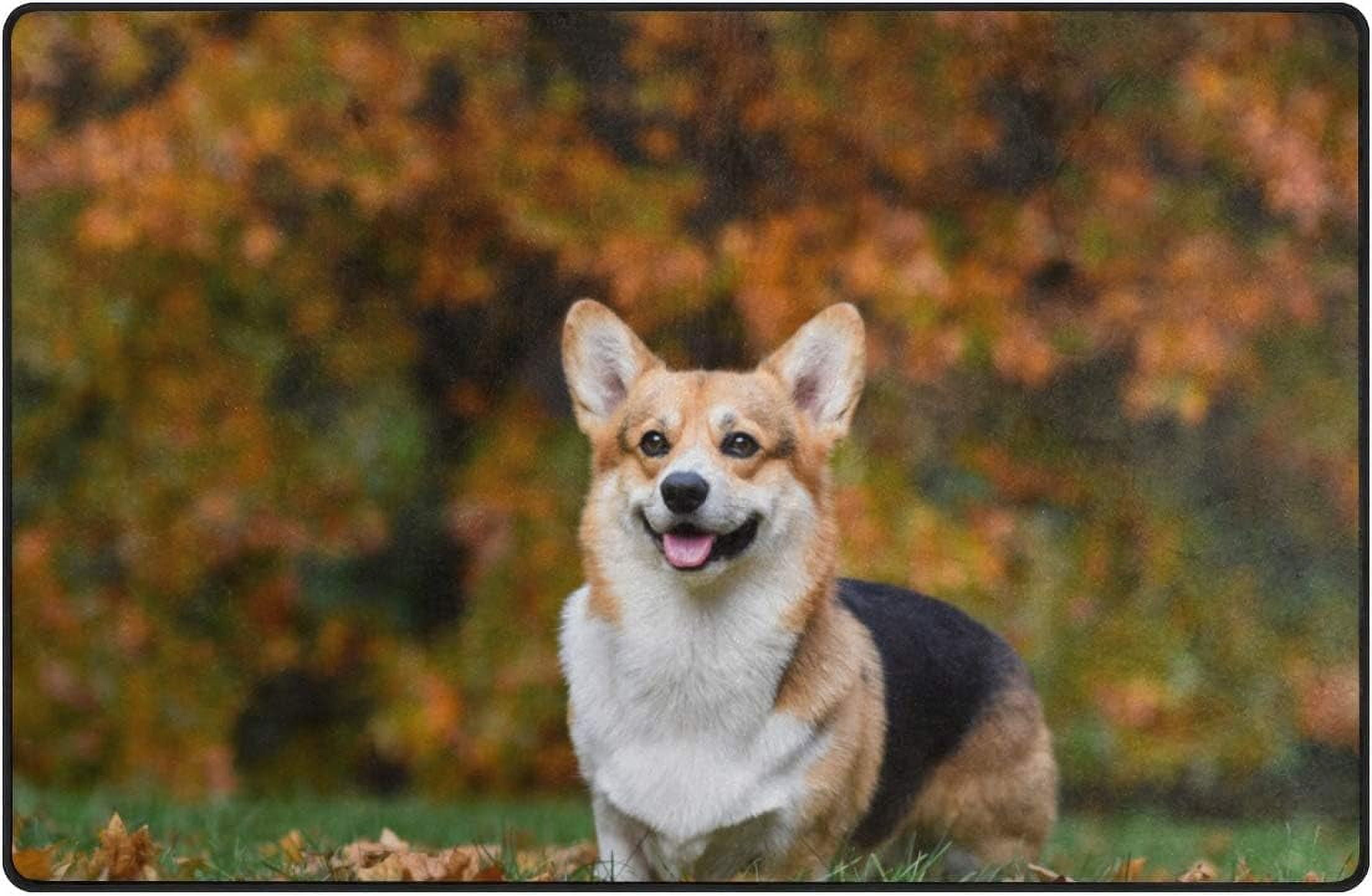 Dreamtimes Lightweight Soft Area Rugs 31x20 Inch, Dog On The Fall Floor ...