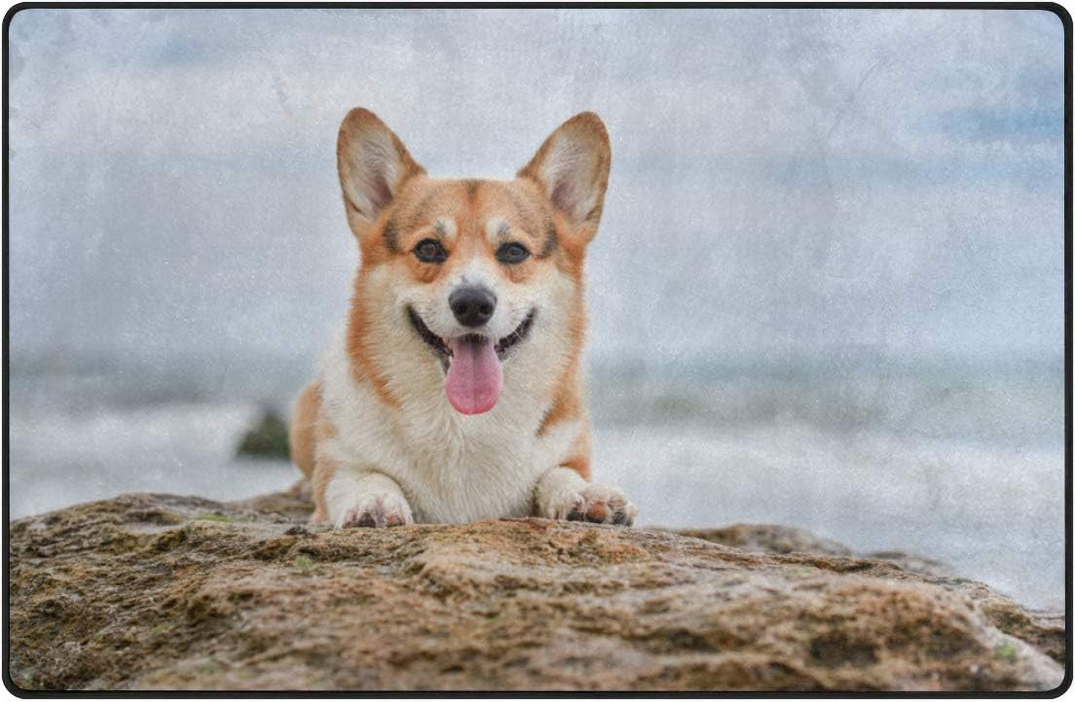 Dreamtimes Lightweight Soft Area Rugs 31x20 Inch, Dog On The Rock Floor ...