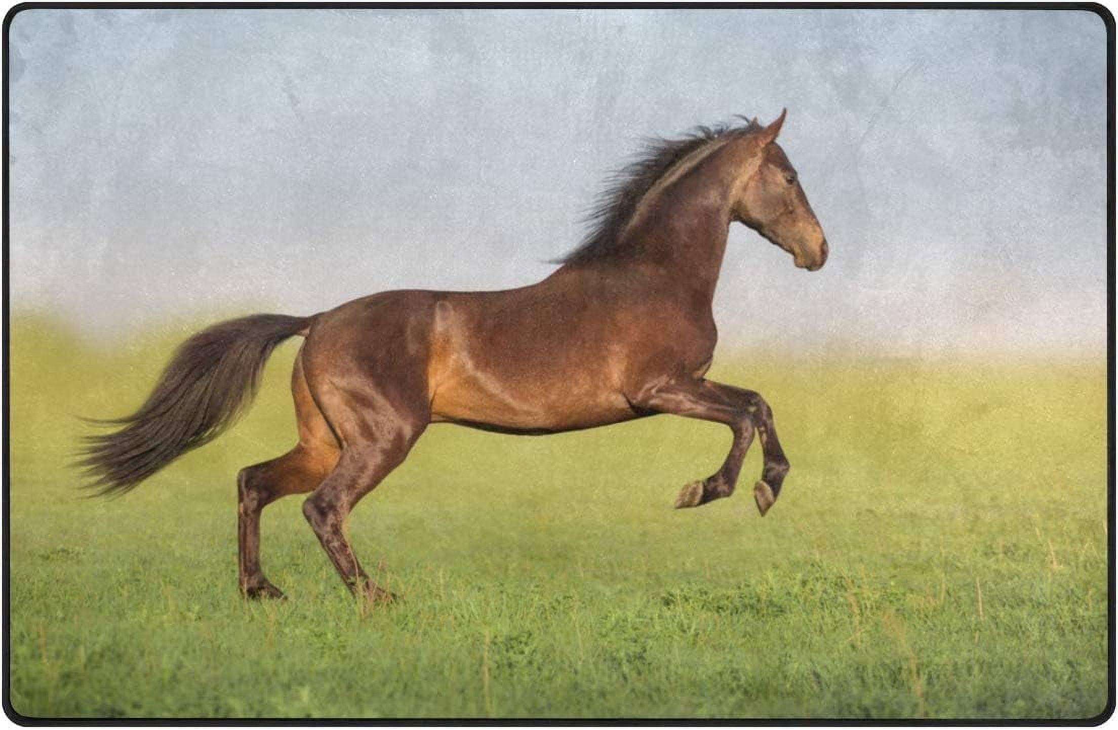 Dreamtimes Lightweight Soft Area Rugs 31x20 Inch, Horse Running On The ...