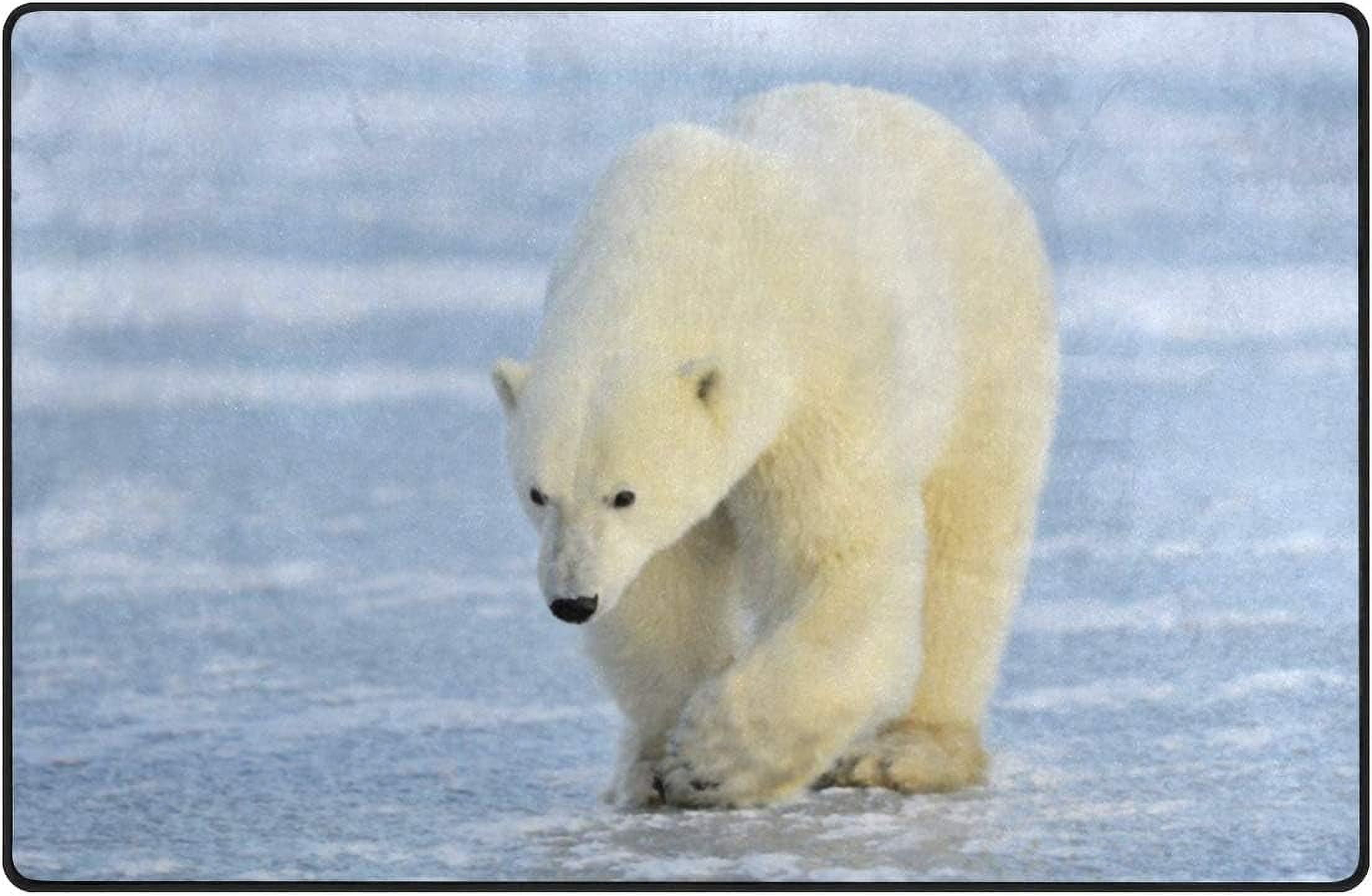 Dreamtimes Lightweight Soft Area Rugs 31x20 Inch, Polar Bear Wakjubf ...