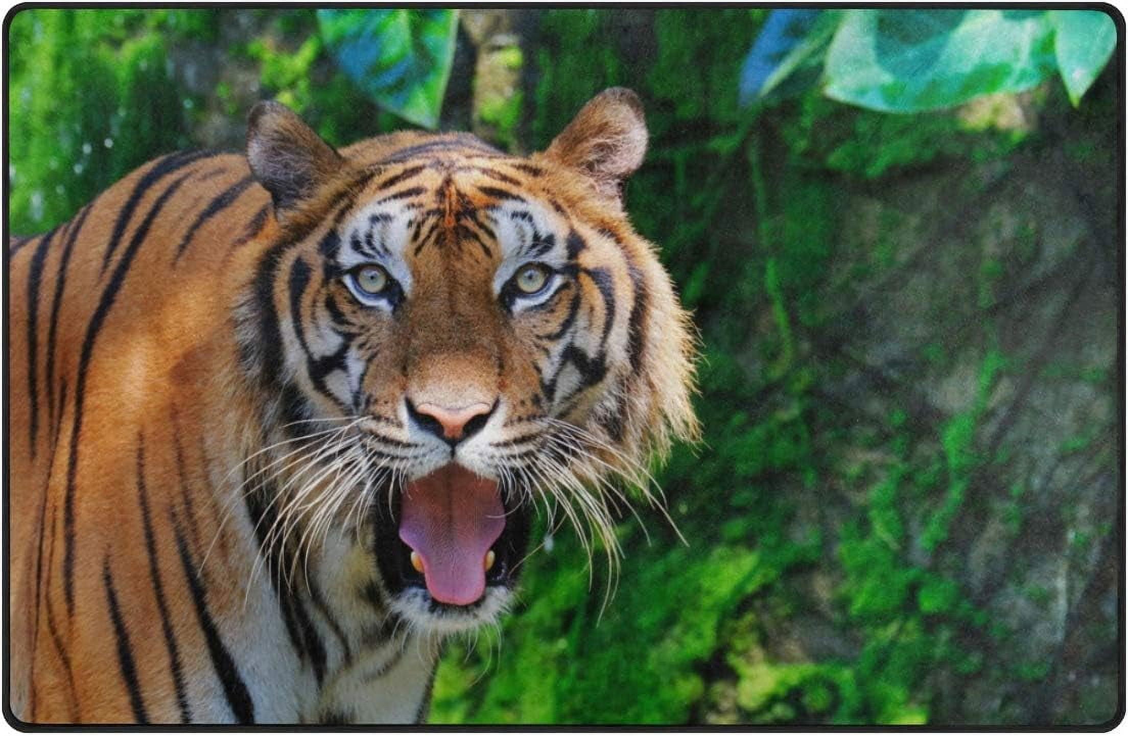 Dreamtimes Lightweight Soft Area Rugs 31x20 Inch, Tiger Roaring Floor ...