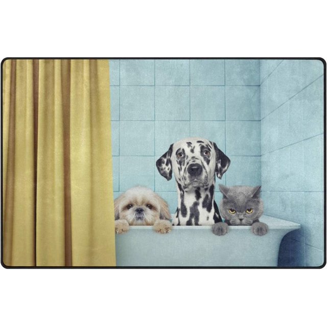 Dreamtimes Lightweight Soft Area Rugs 60 x 39 inch (5'x 3'3"), Cute ...