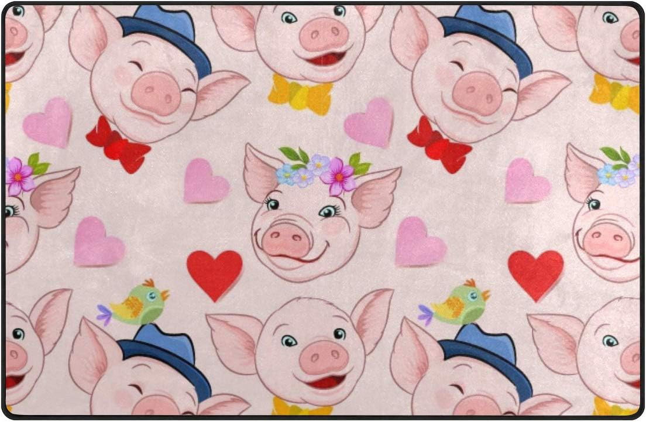 Dreamtimes Lightweight Soft Area Rugs 60 x 39 inch (5'x 3'3"), Cute Pig ...