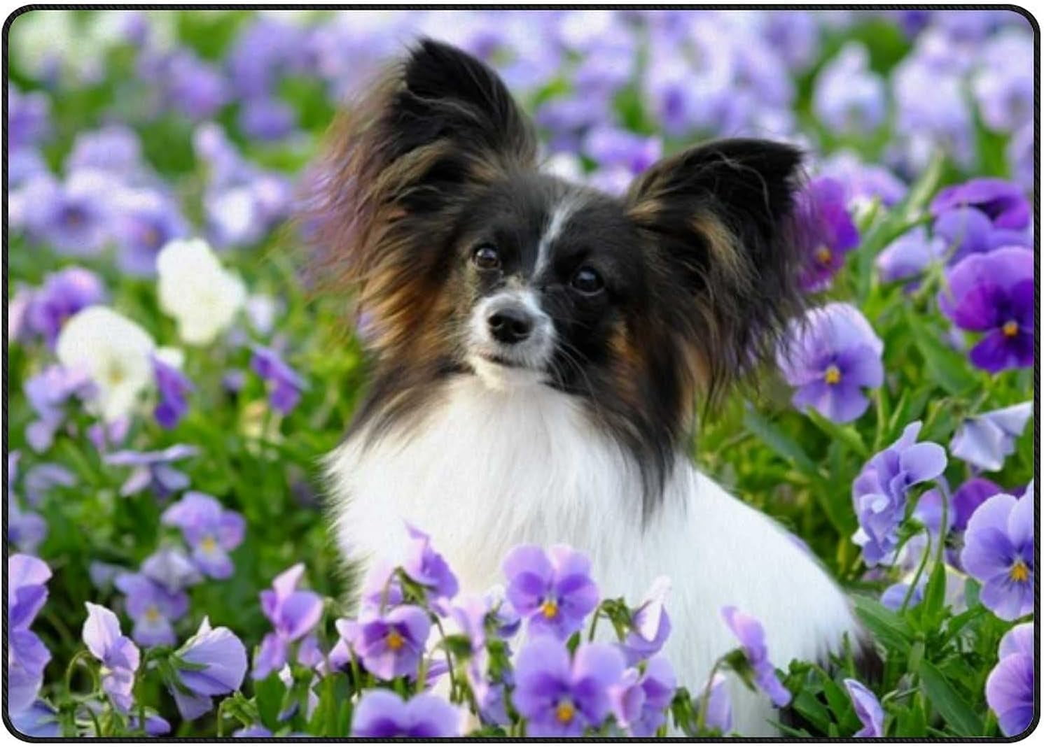 Dreamtimes Lightweight Soft Area Rugs 60 x 39 inch (5'x 3'3"), Junior ...