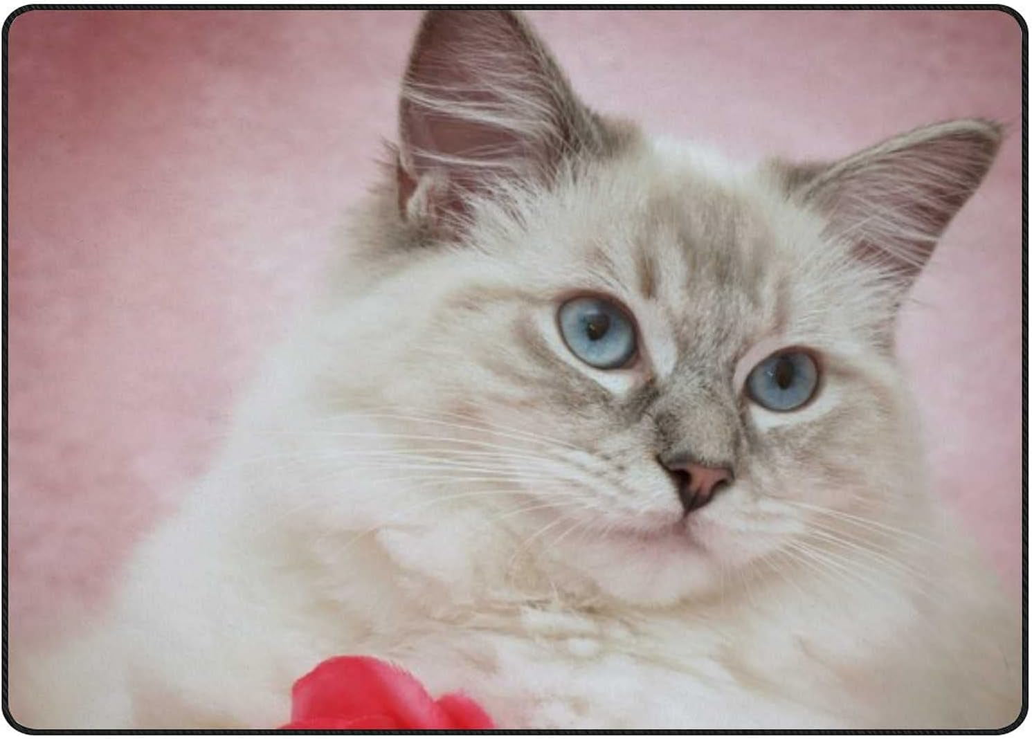 Dreamtimes Lightweight Soft Area Rugs 60 x 39 inch (5'x 3'3"), Romantic ...