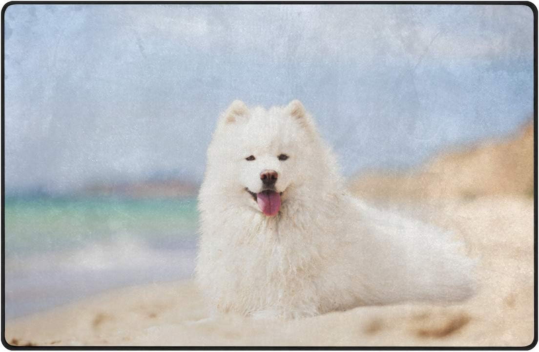 Dreamtimes Lightweight Soft Area Rugs 60 x 39 inch (5'x 3'3"), Samoed ...