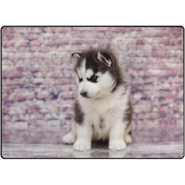 Dreamtimes Lightweight Soft Area Rugs 63 x 48 in, Siberian Husky Puppy ...