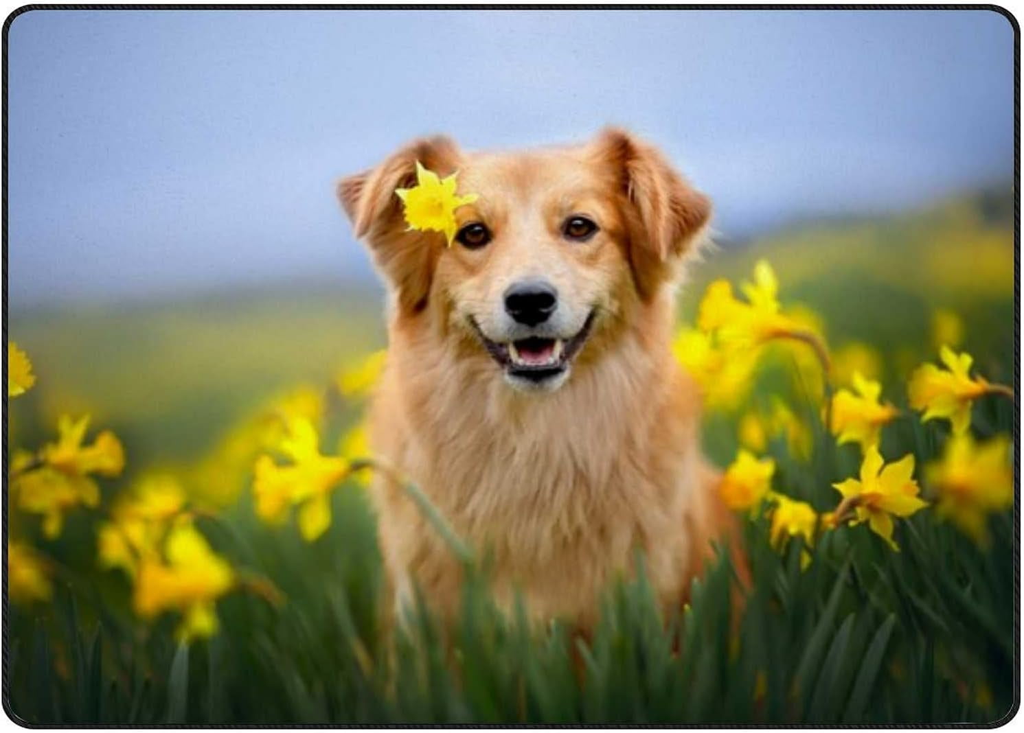 Dreamtimes Lightweight Soft Area Rugs 63 x 48 in, Smilling Dog Sitting ...