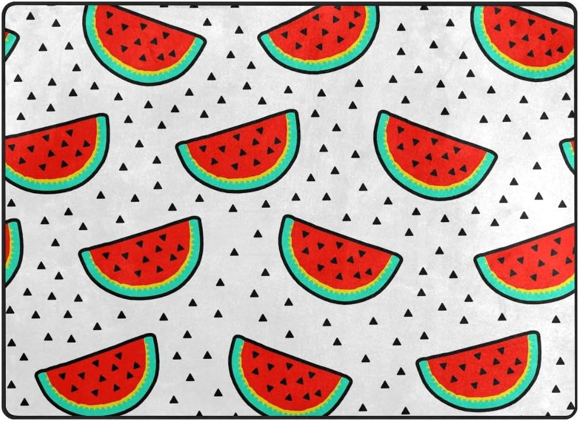 Dreamtimes Lightweight Soft Area Rugs 63 x 48 in, Watermelon Slices ...