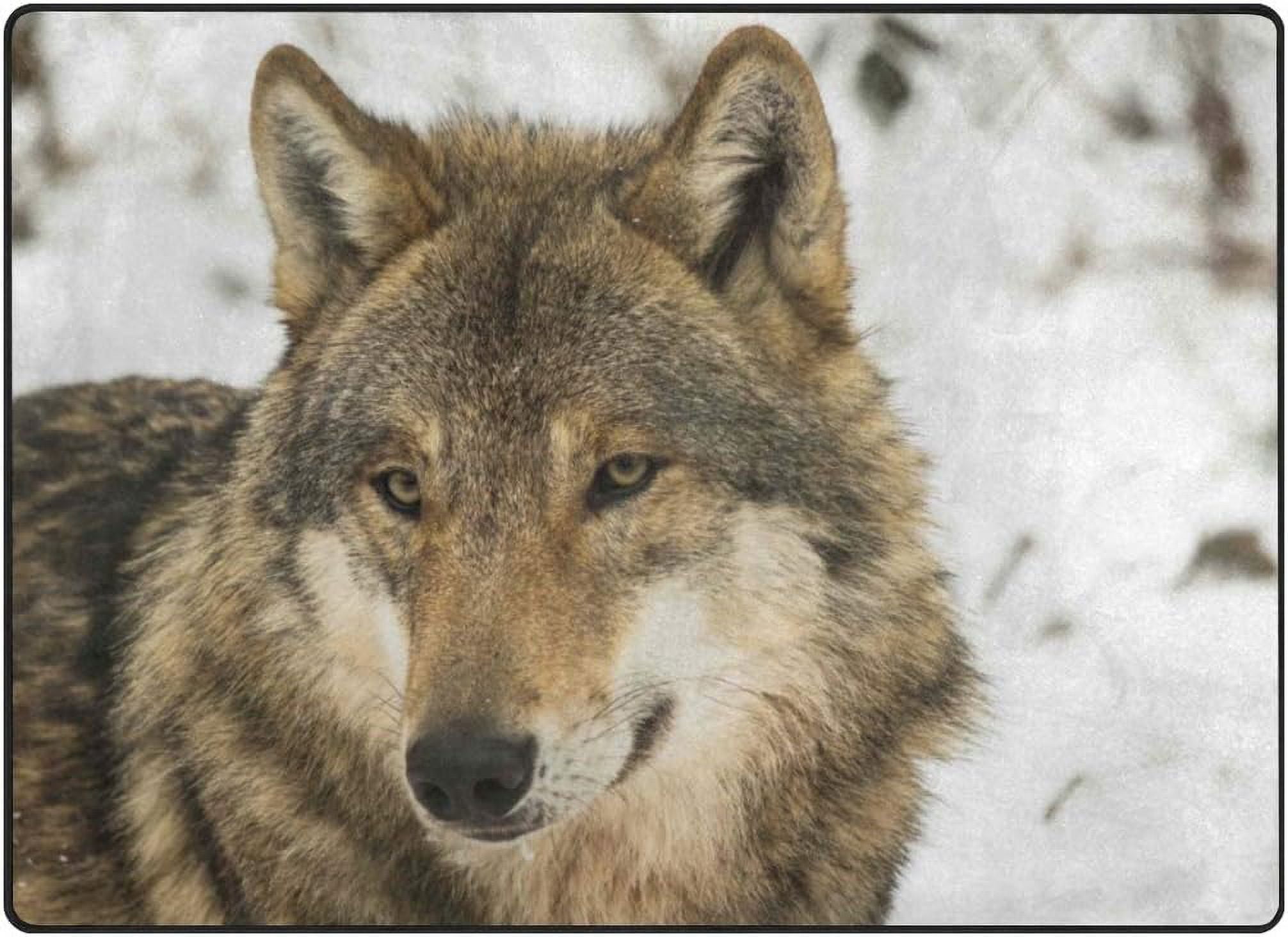 Dreamtimes Lightweight Soft Area Rugs 63 x 48 in, Wolf On The Snowy ...