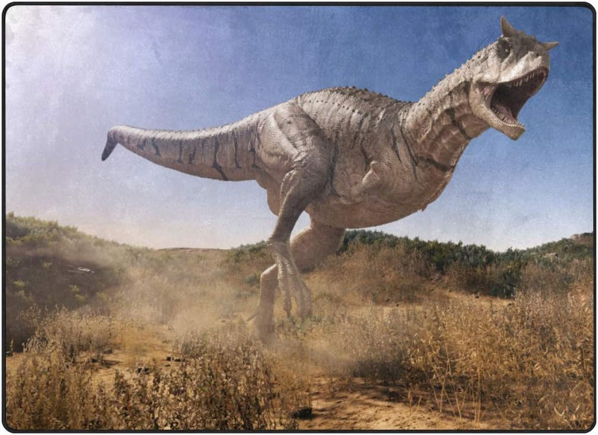 Dreamtimes Lightweight Soft Area Rugs, 80 x 58 inch（6'8" x 4'10 ...