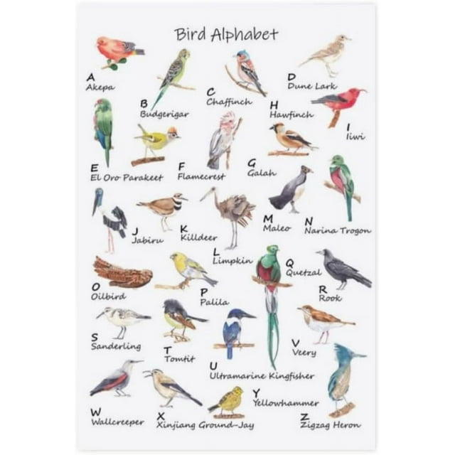 Dreamtimes Poster Prints Wall Paper Art Decor Birds Alphabet Letter ...