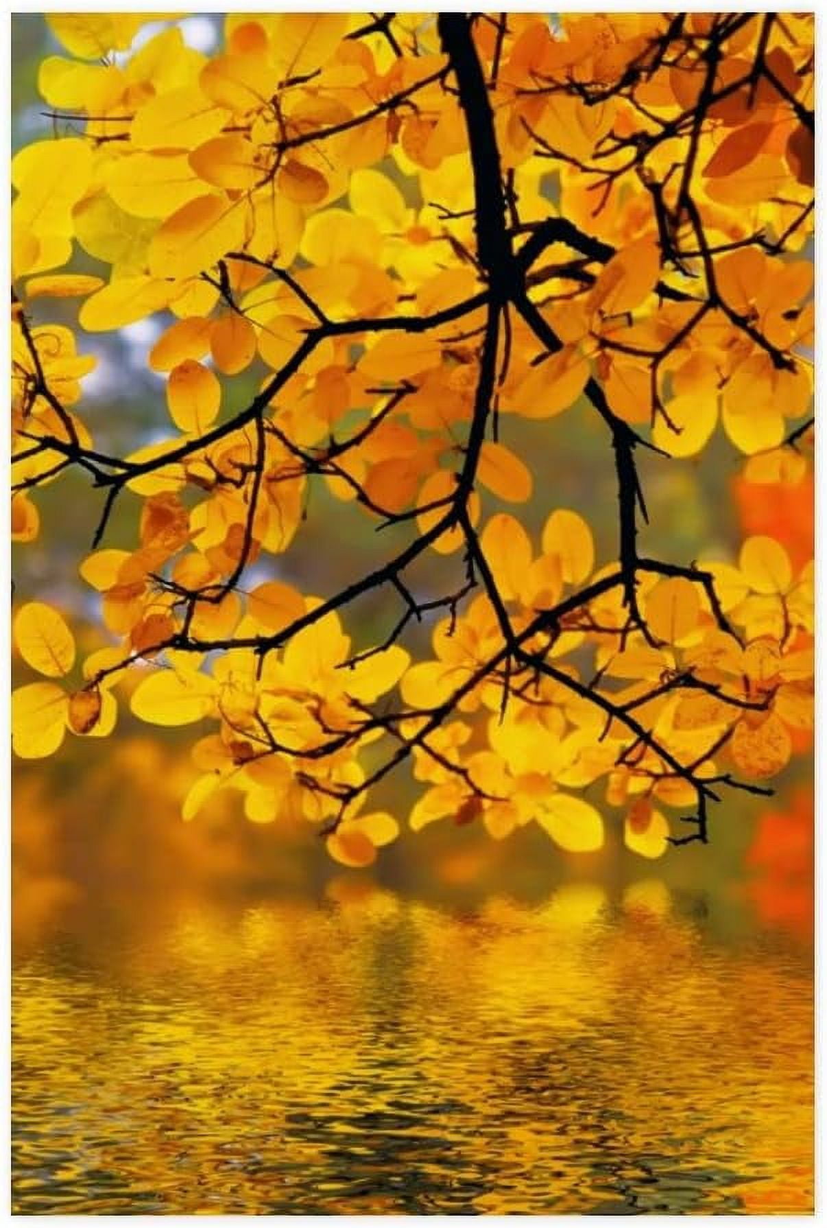 Dreamtimes Poster Prints Wall Paper Art Decor Nature Autumn Fall Forest ...