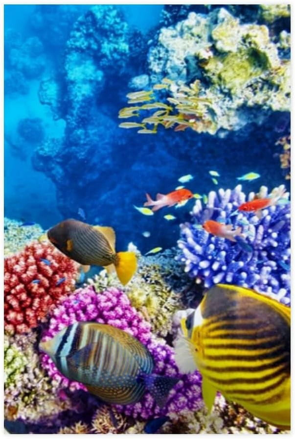 Dreamtimes Poster Prints Wall Paper Art Decor Ocean Sea Aquatic World ...