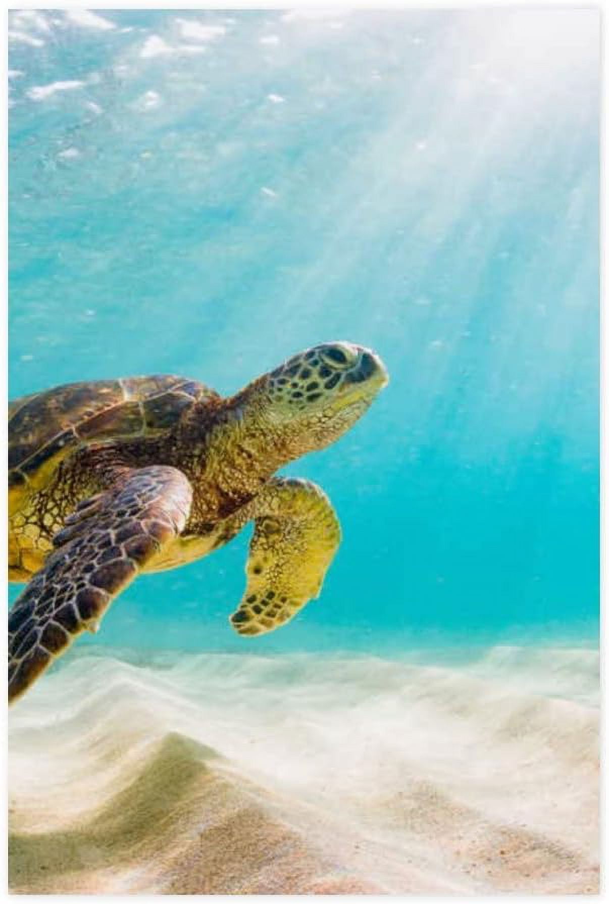 Dreamtimes Poster Prints Wall Paper Art Decor turtle tortoise ocean sea ...
