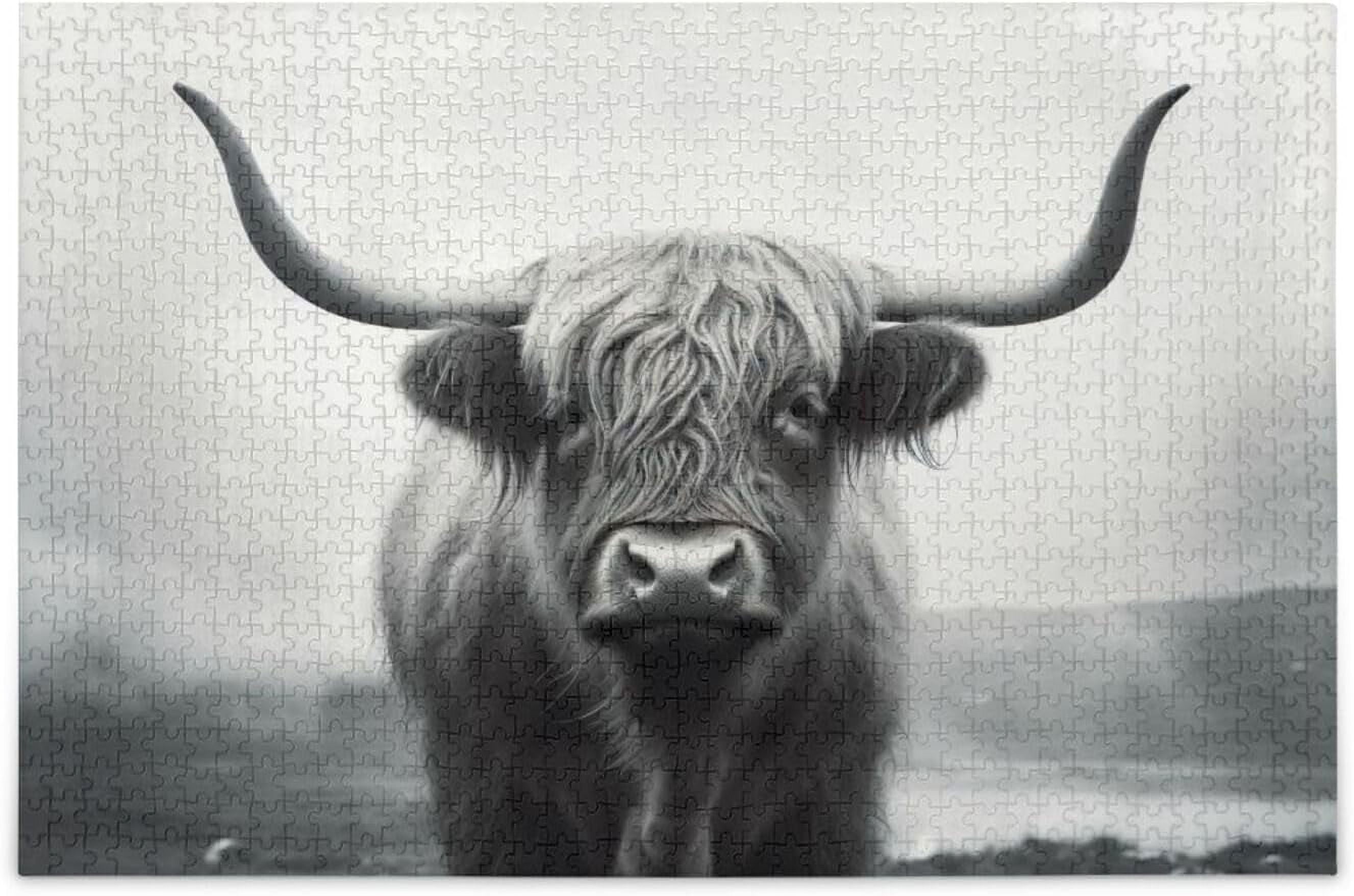 Dreamtimes Puzzle- Funny Scottish Highland Cow Jigsaw Puzzles, 500 ...